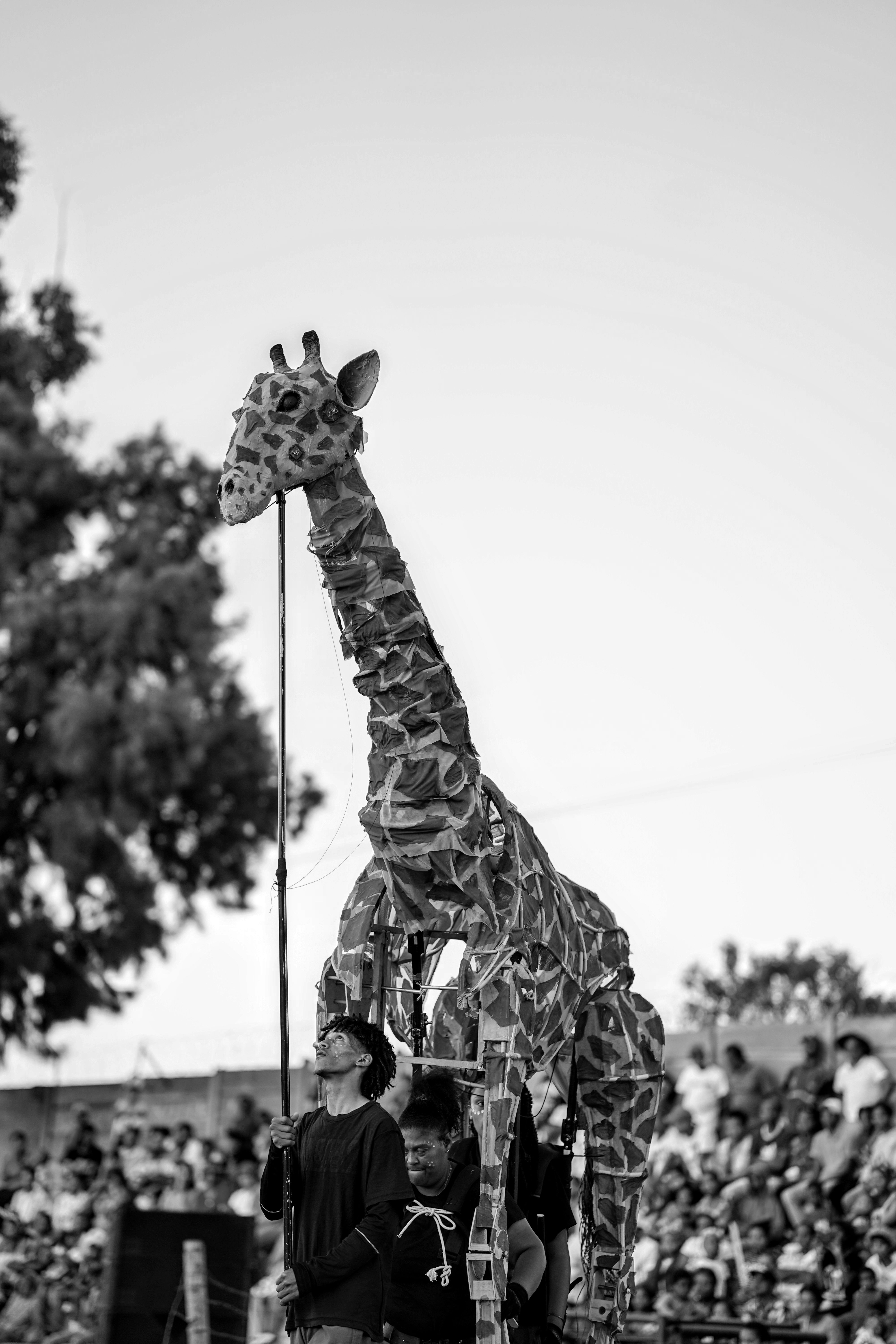 Artistic Giraffe Puppet at Barrydale Parade · Free Stock Photo