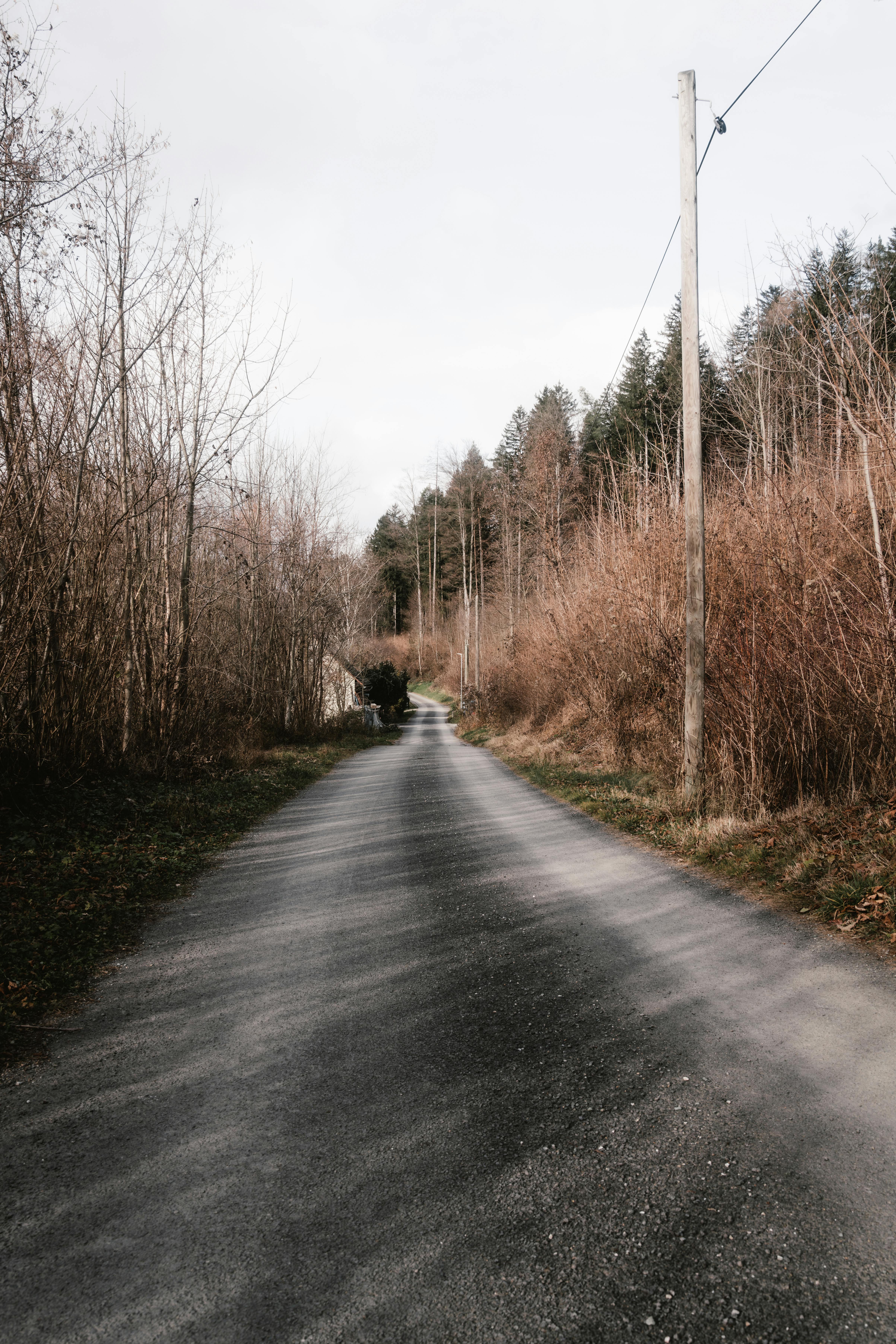 Scenic Autumn Pathway in Austrian Countryside · Free Stock Photo