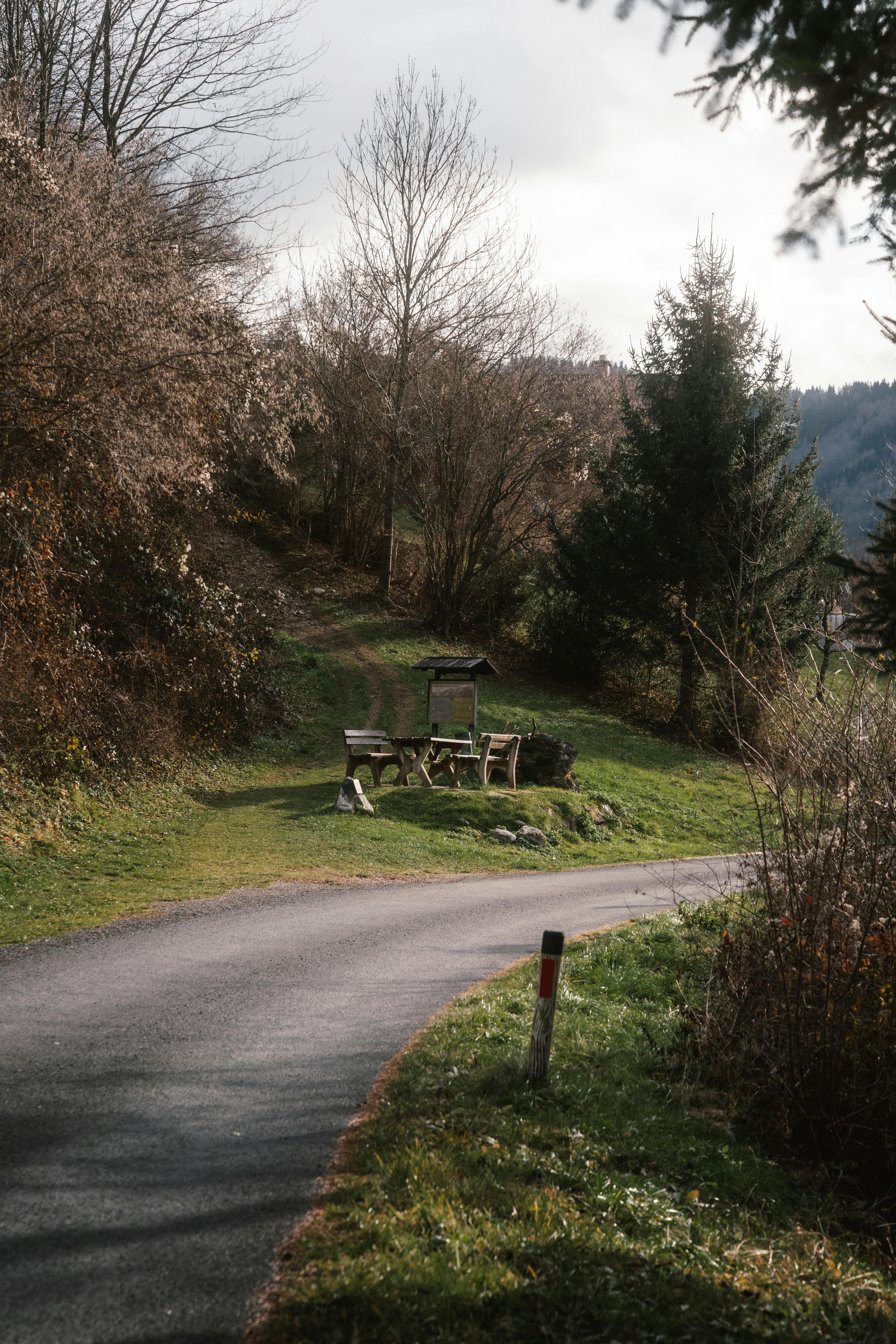 Tranquil Autumn Pathway in Austrian Countryside · Free Stock Photo