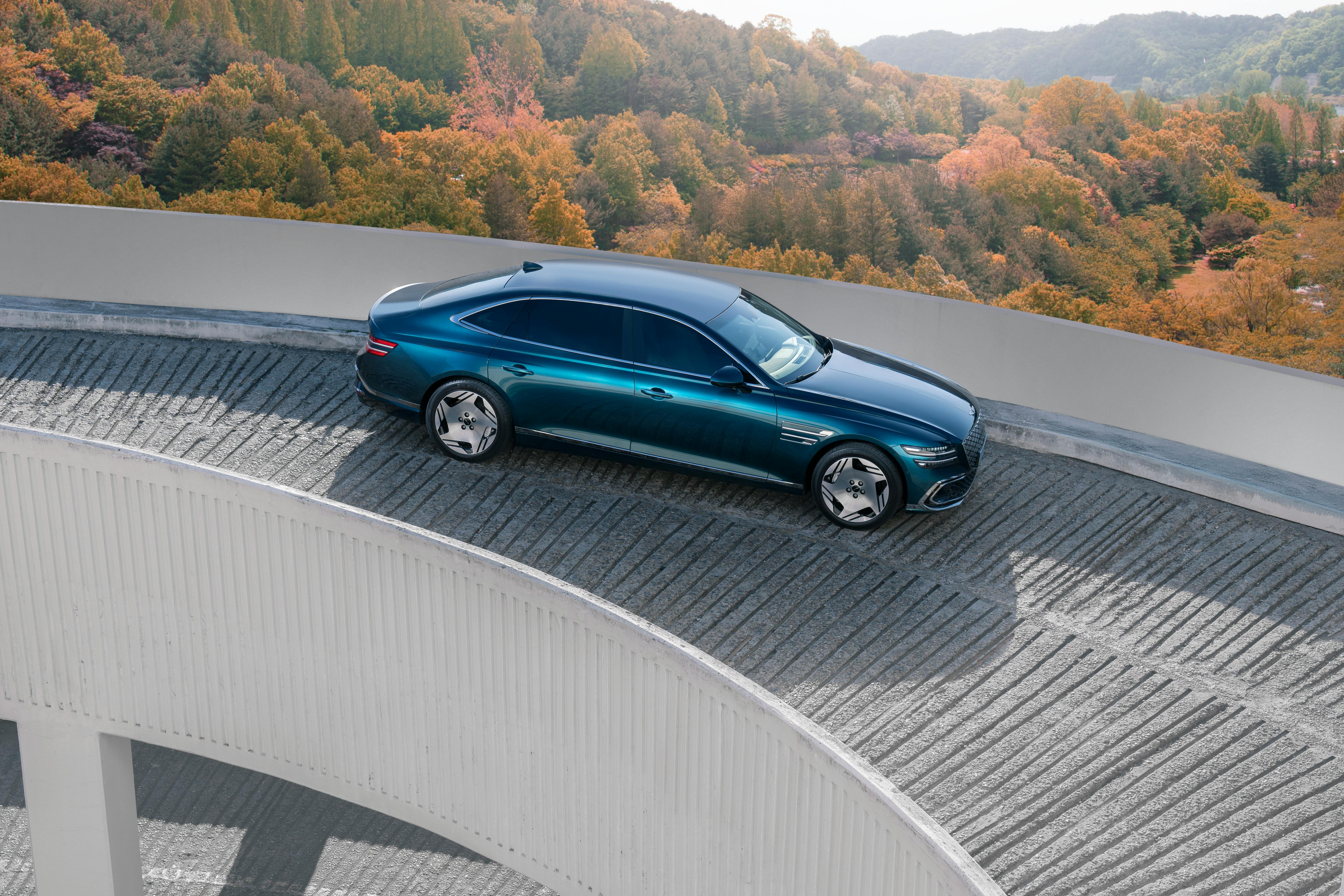 Genesis Tree Photos, Download The BEST Free Genesis Tree Stock Photos ...