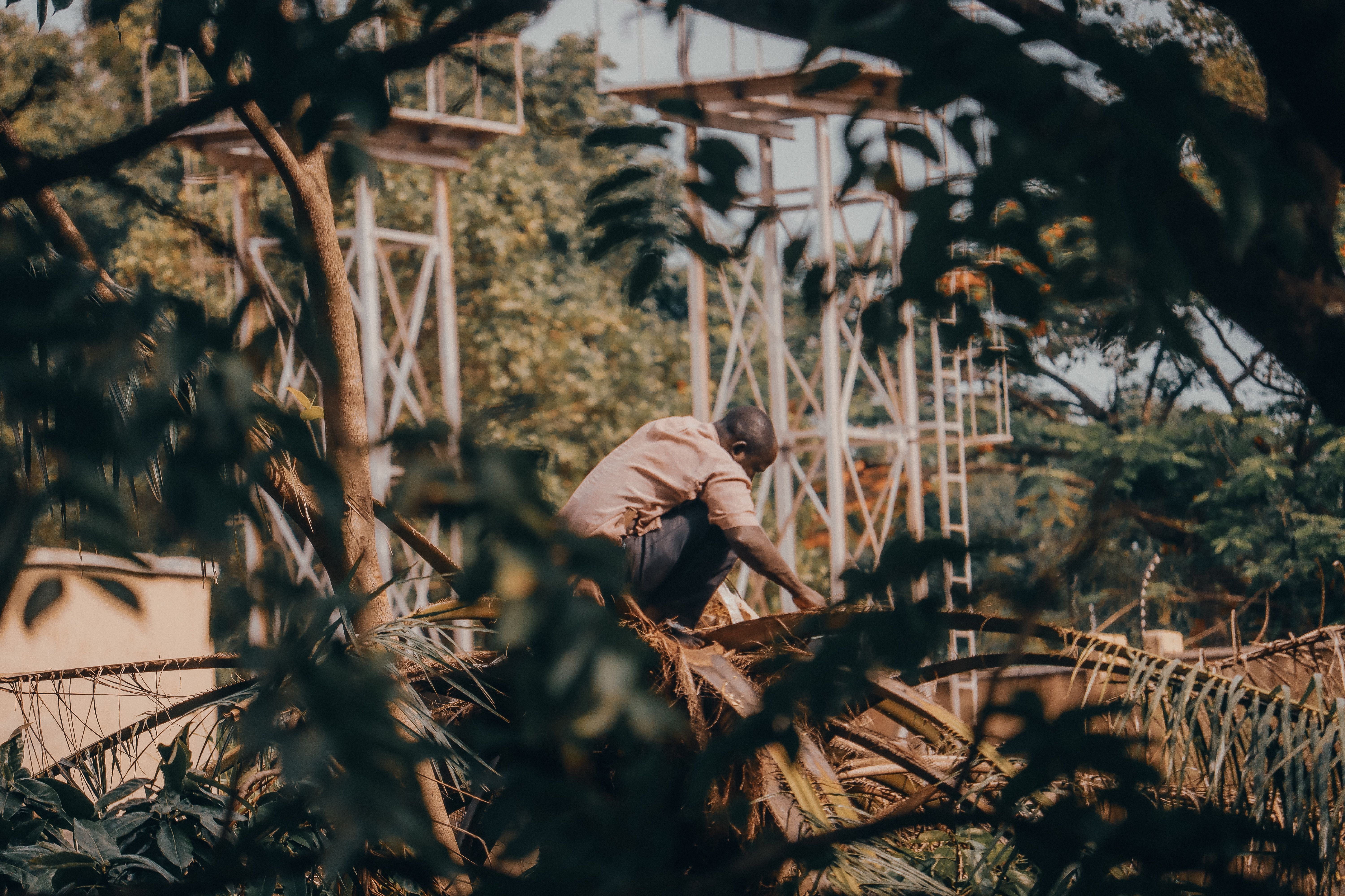 Man Working Among Trees in Industrial Setting · Free Stock Photo