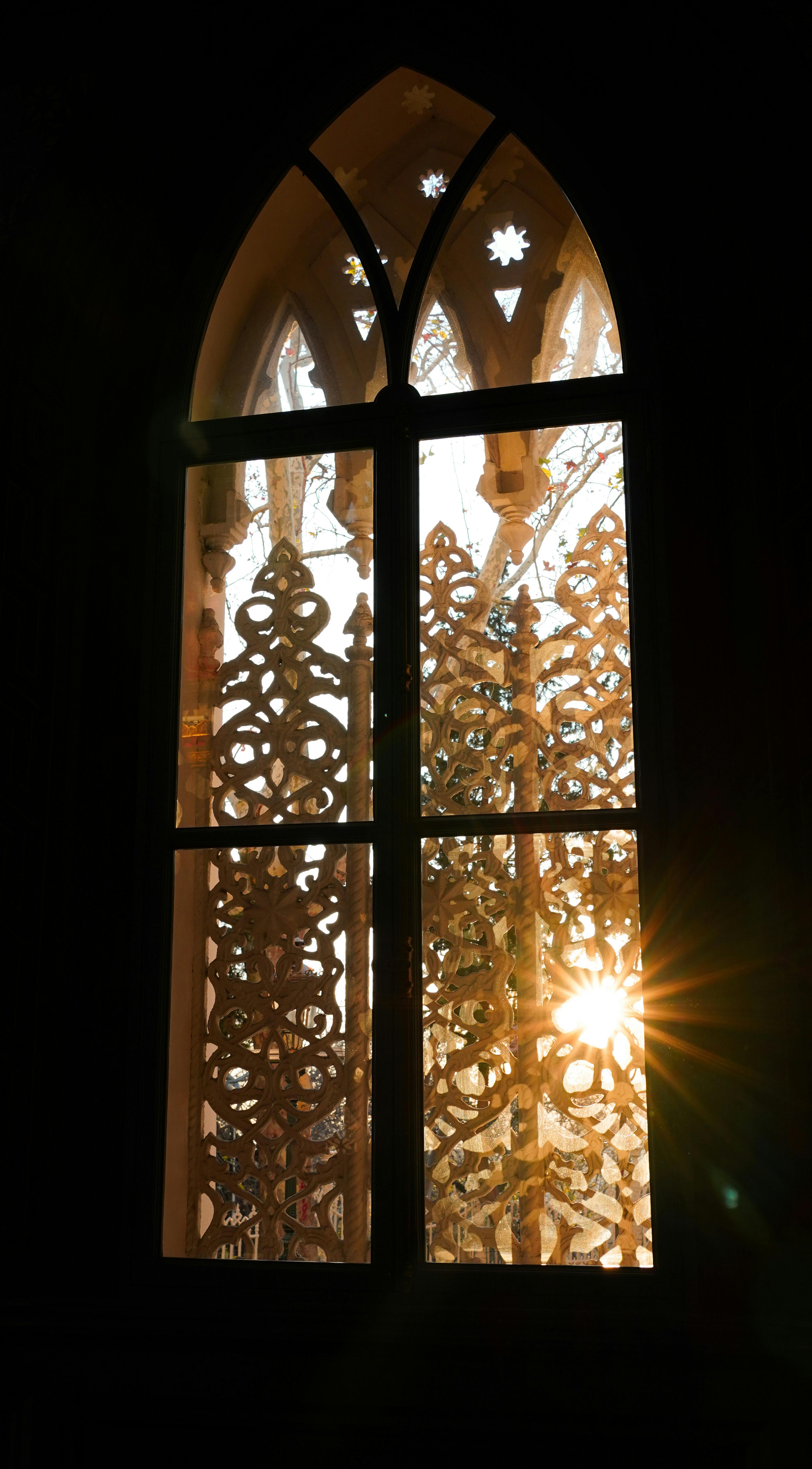 Beyza Kaplan - 摄影