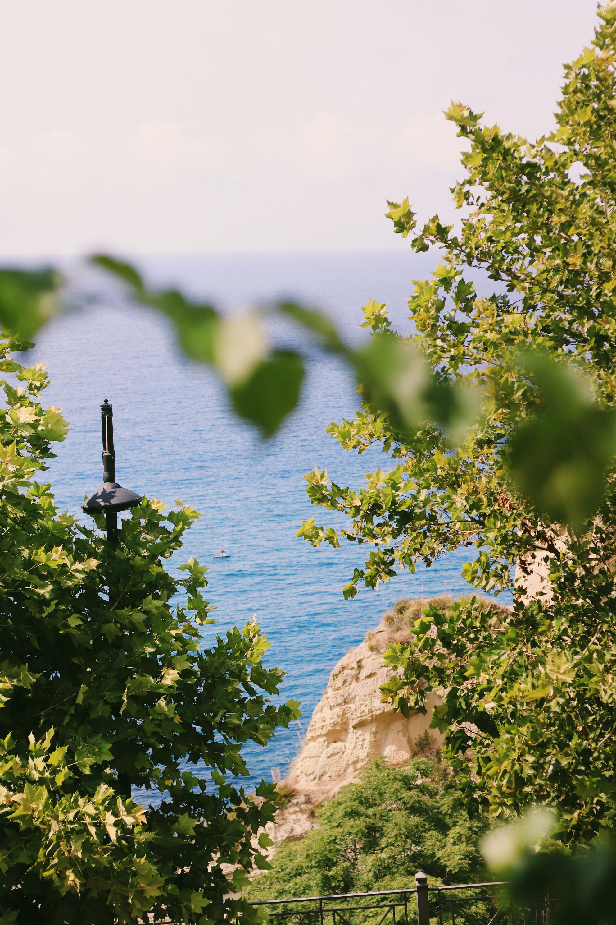 Scenic Coastal View Through Greenery at Ocean Cliffs · Free Stock Photo