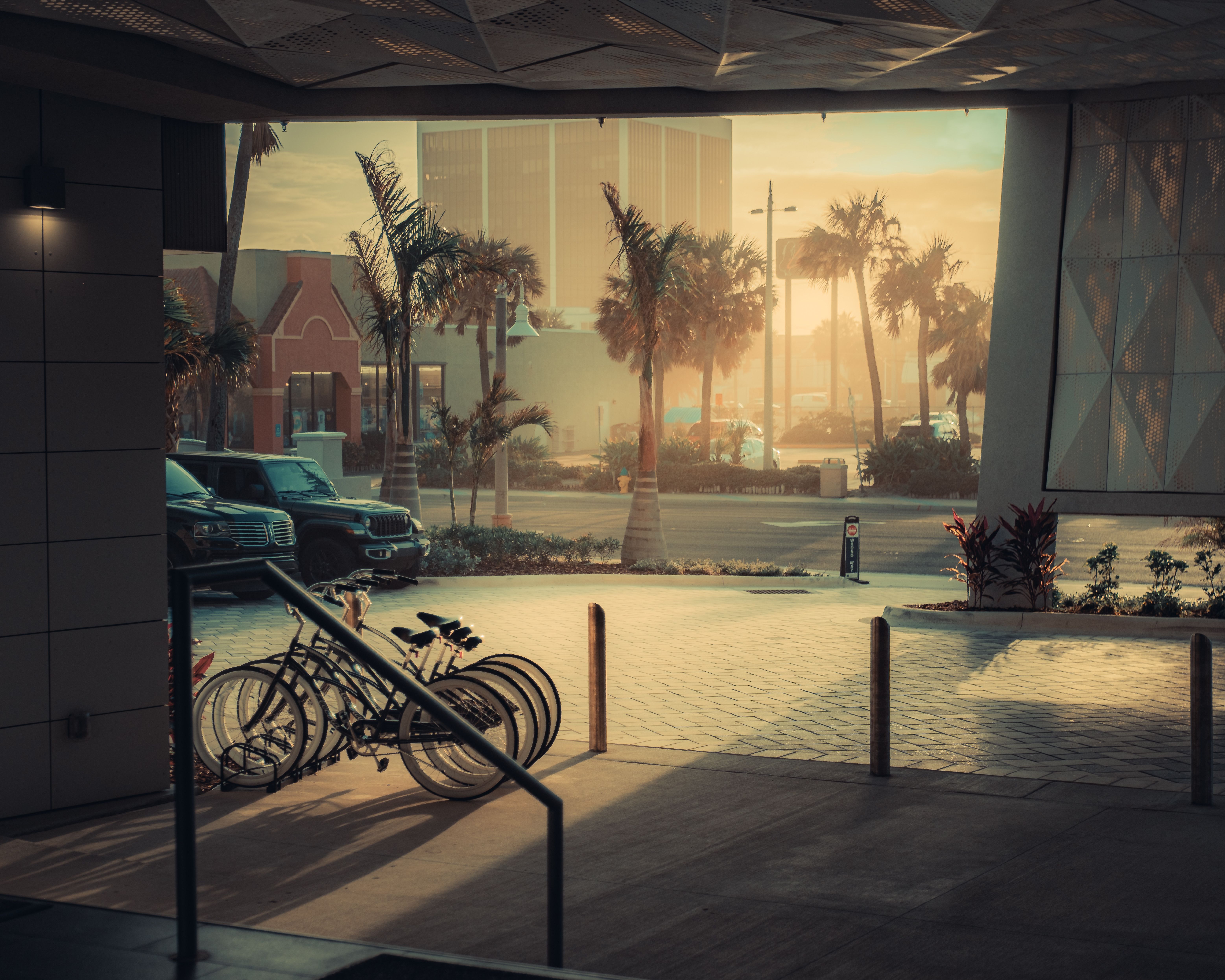 Urban Street View at Sunset with Palm Trees · Free Stock Photo