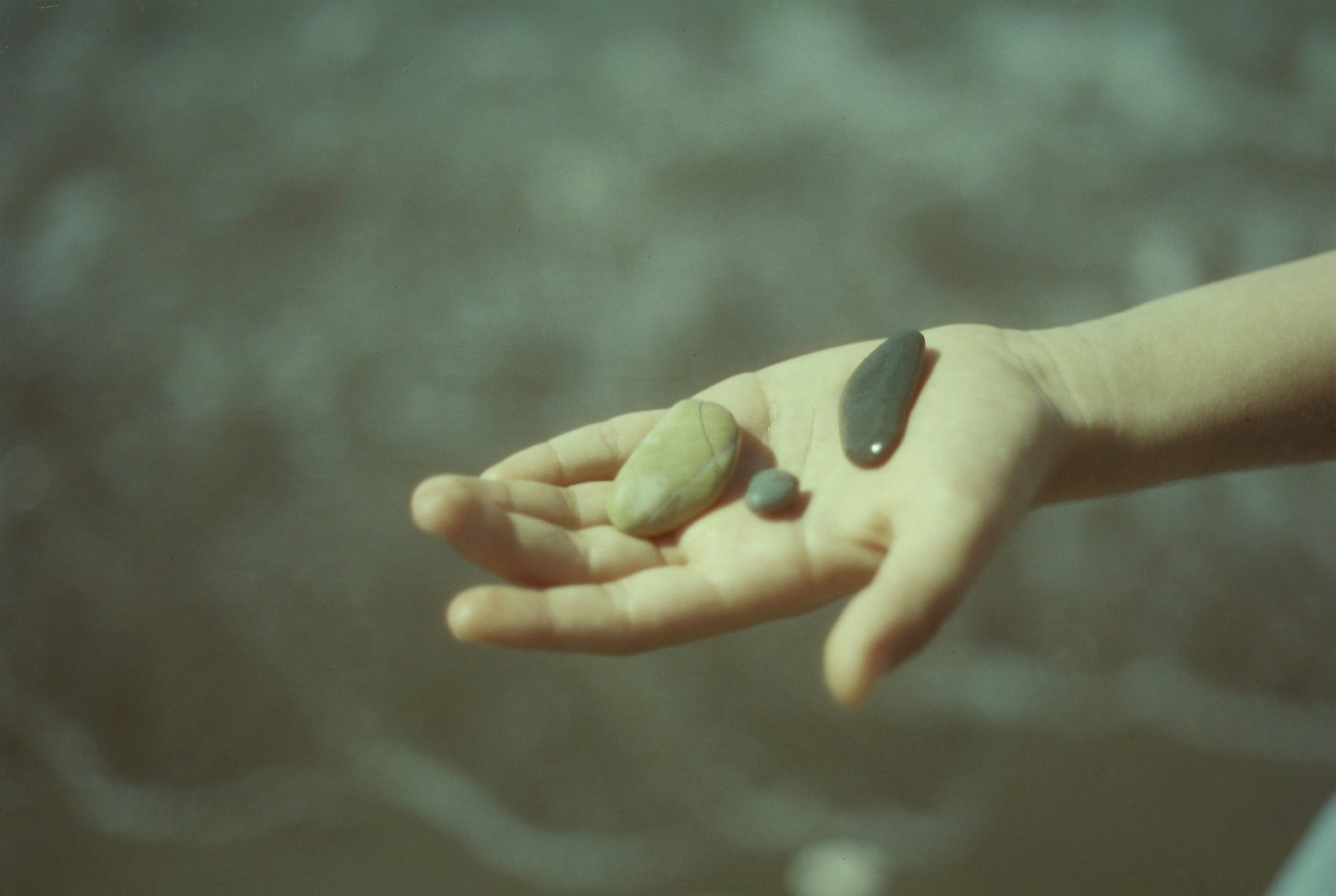 Close-up of hand holding smooth beach stones · Free Stock Photo