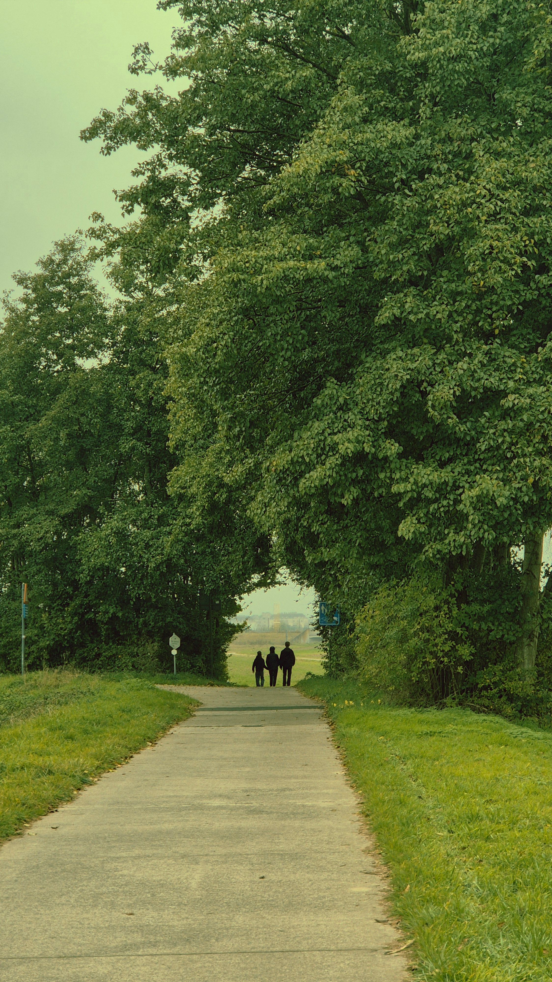 Peaceful Walk on Countryside Pathway · Free Stock Photo