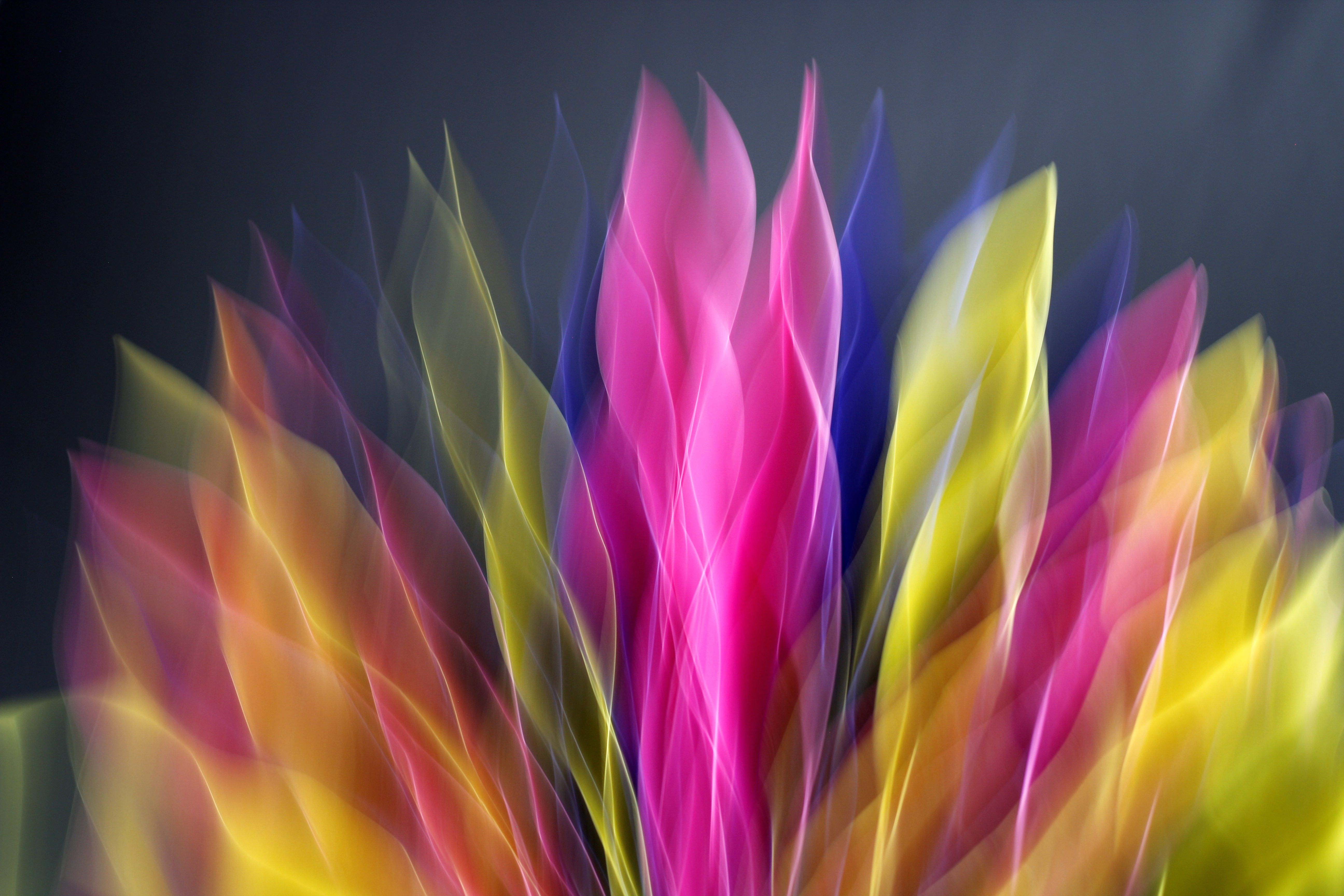Vibrant Abstract Light Painting with Colors · Free Stock Photo