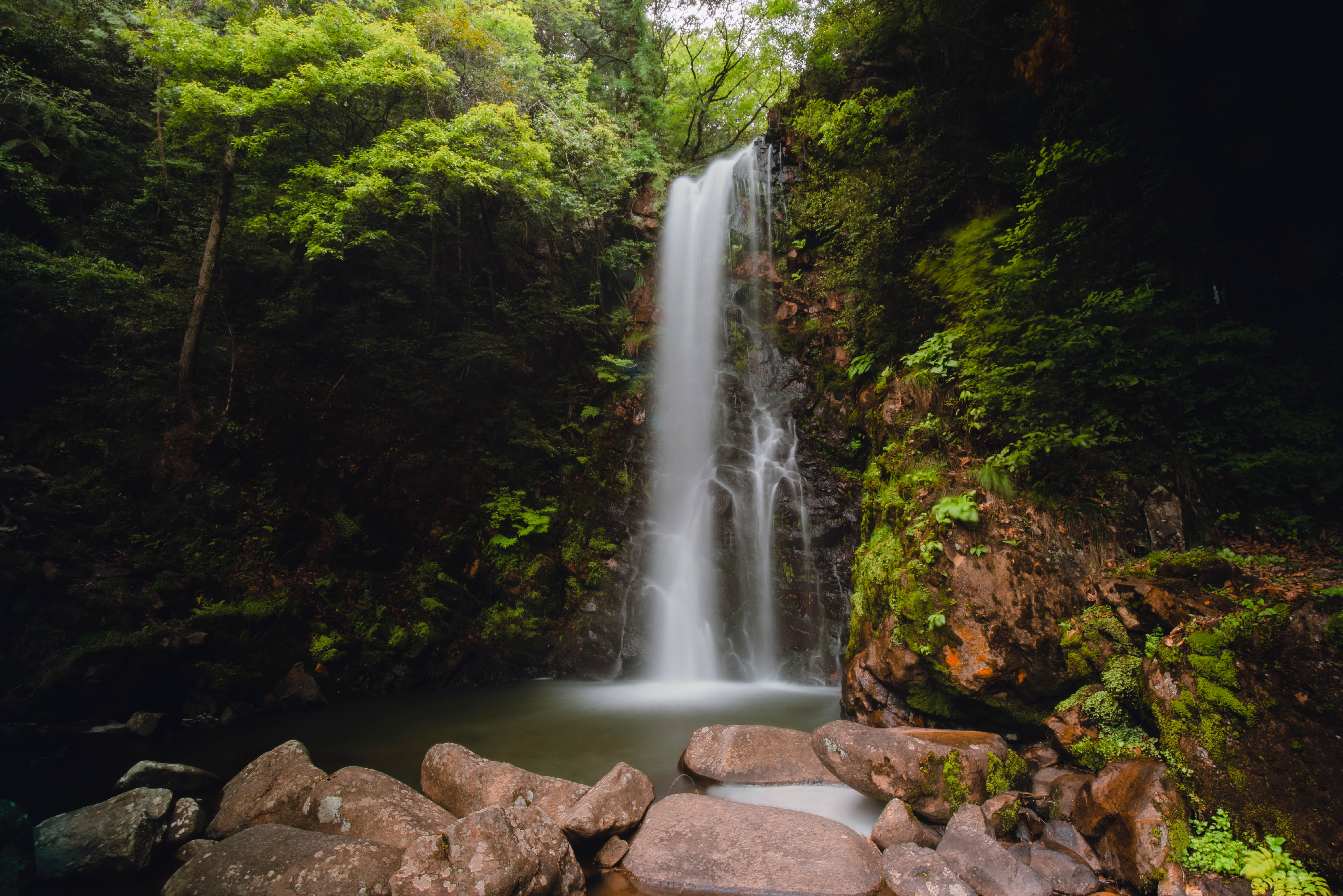 Majestic Waterfall in Lush Forest Setting · Free Stock Photo