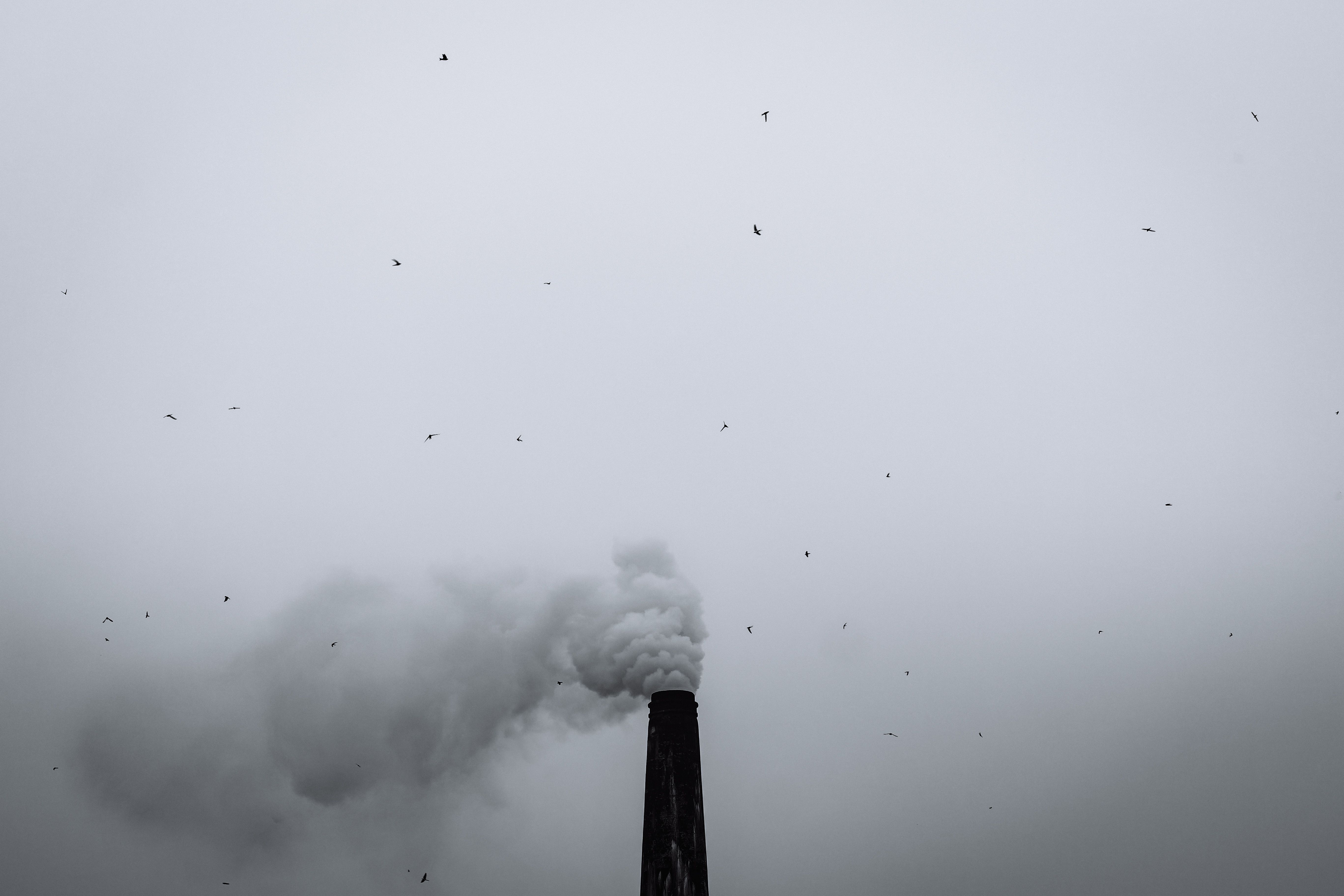 Industrial Smoke Stack Emitting Smoke in Bangladesh · Free Stock Photo