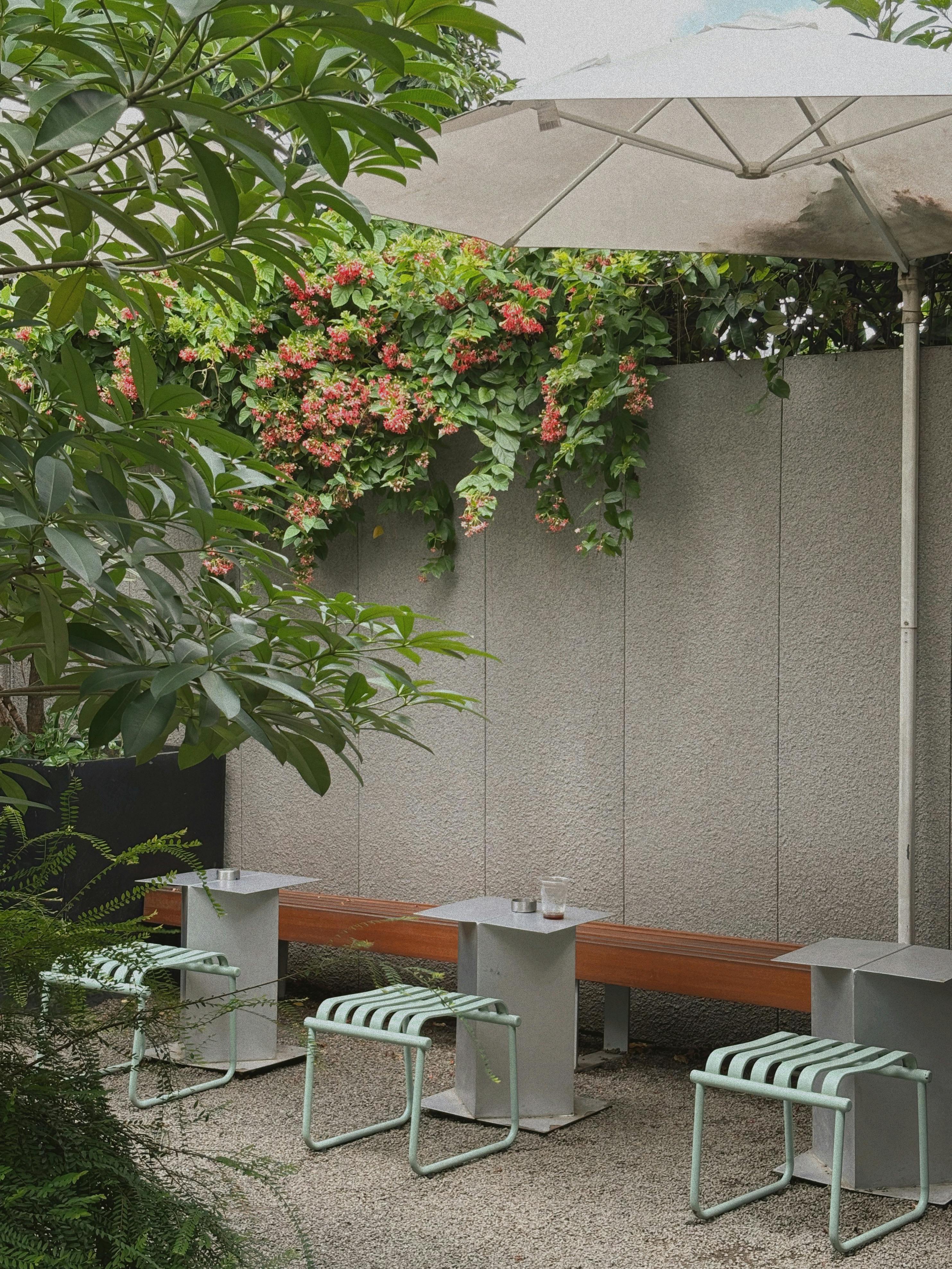 Outdoor Café Setting with Greenery and Chairs · Free Stock Photo