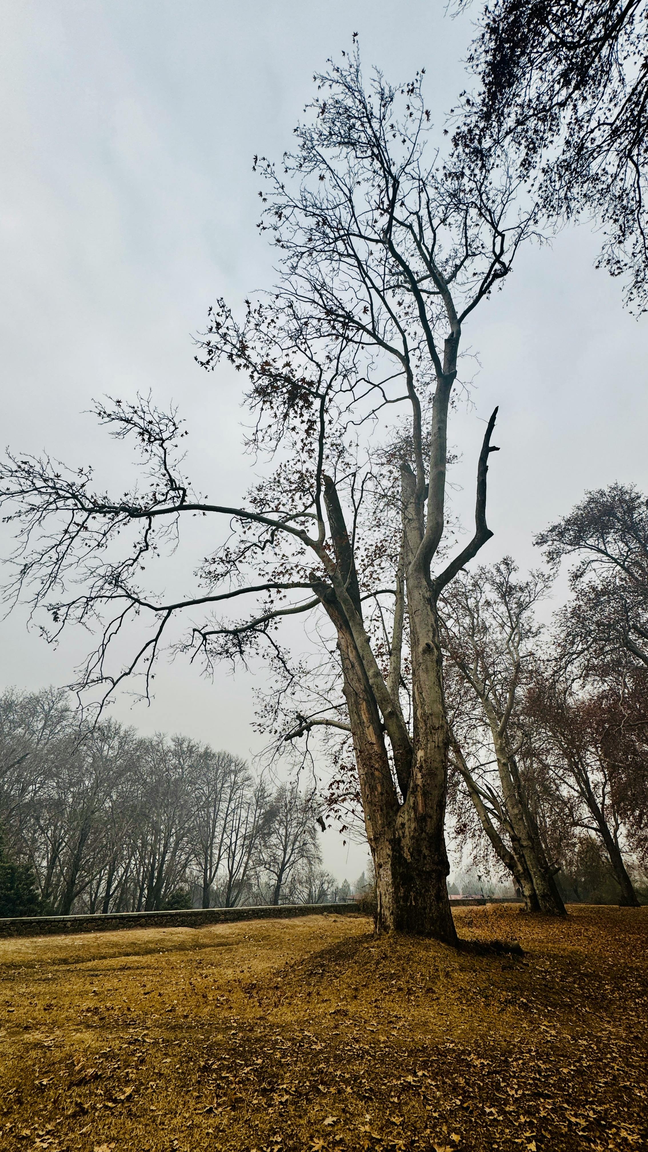 Fotografia de Zaman |•DXB - Photography