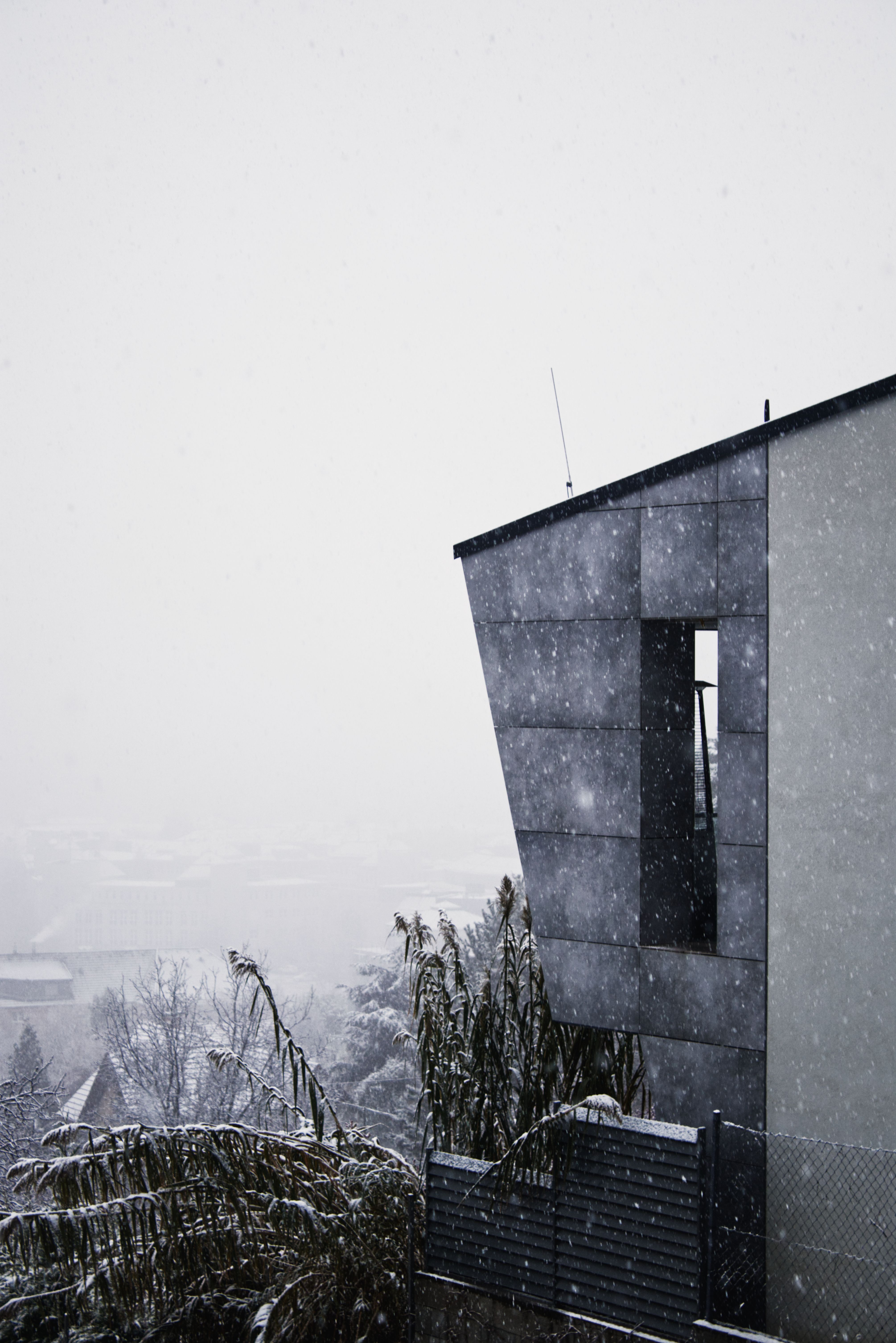 Modern Building in Snowy Winter Landscape · Free Stock Photo
