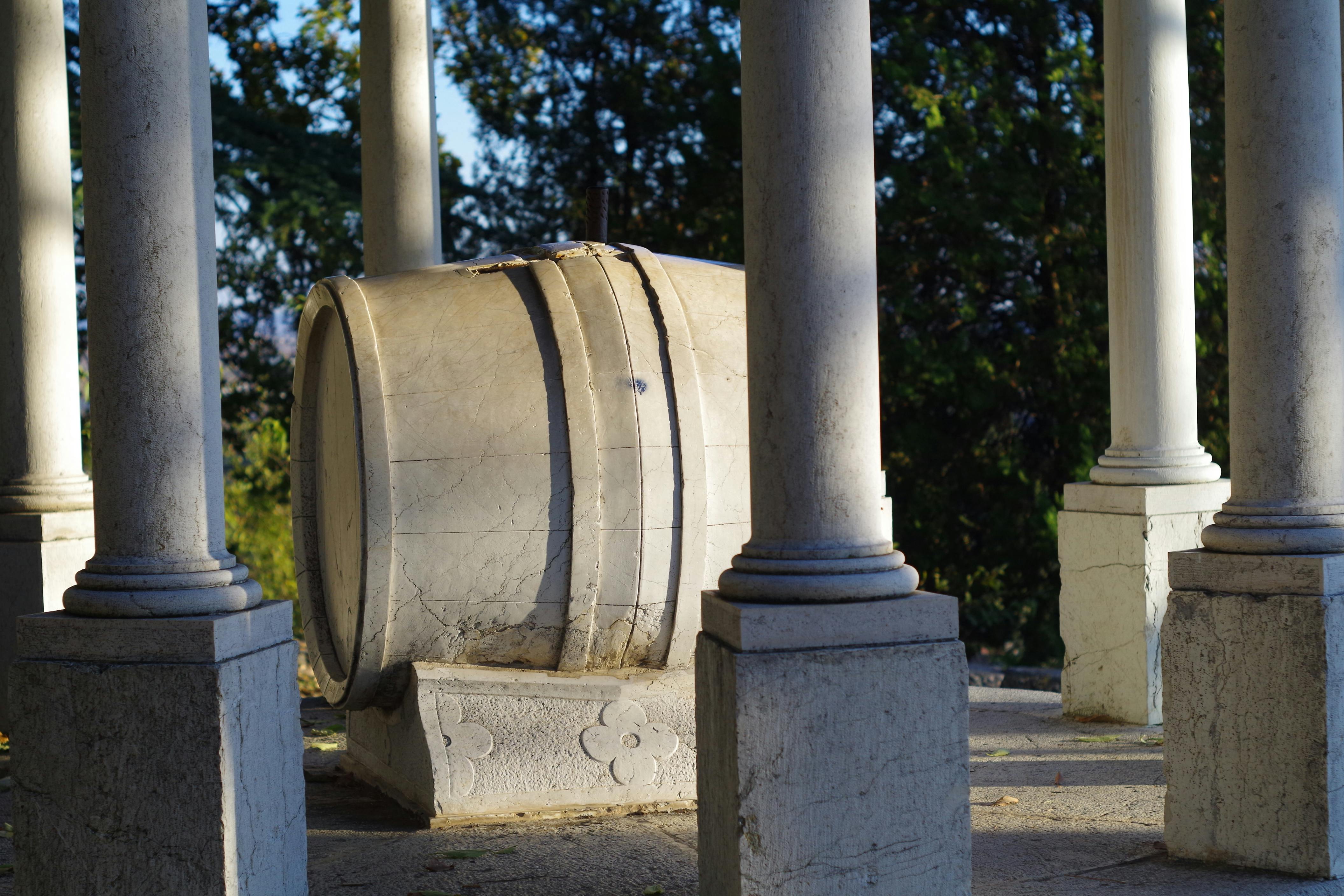 312+ Fotos y Imágenes de Baca meyveleri Gratis · Banco de Fotos Gratis