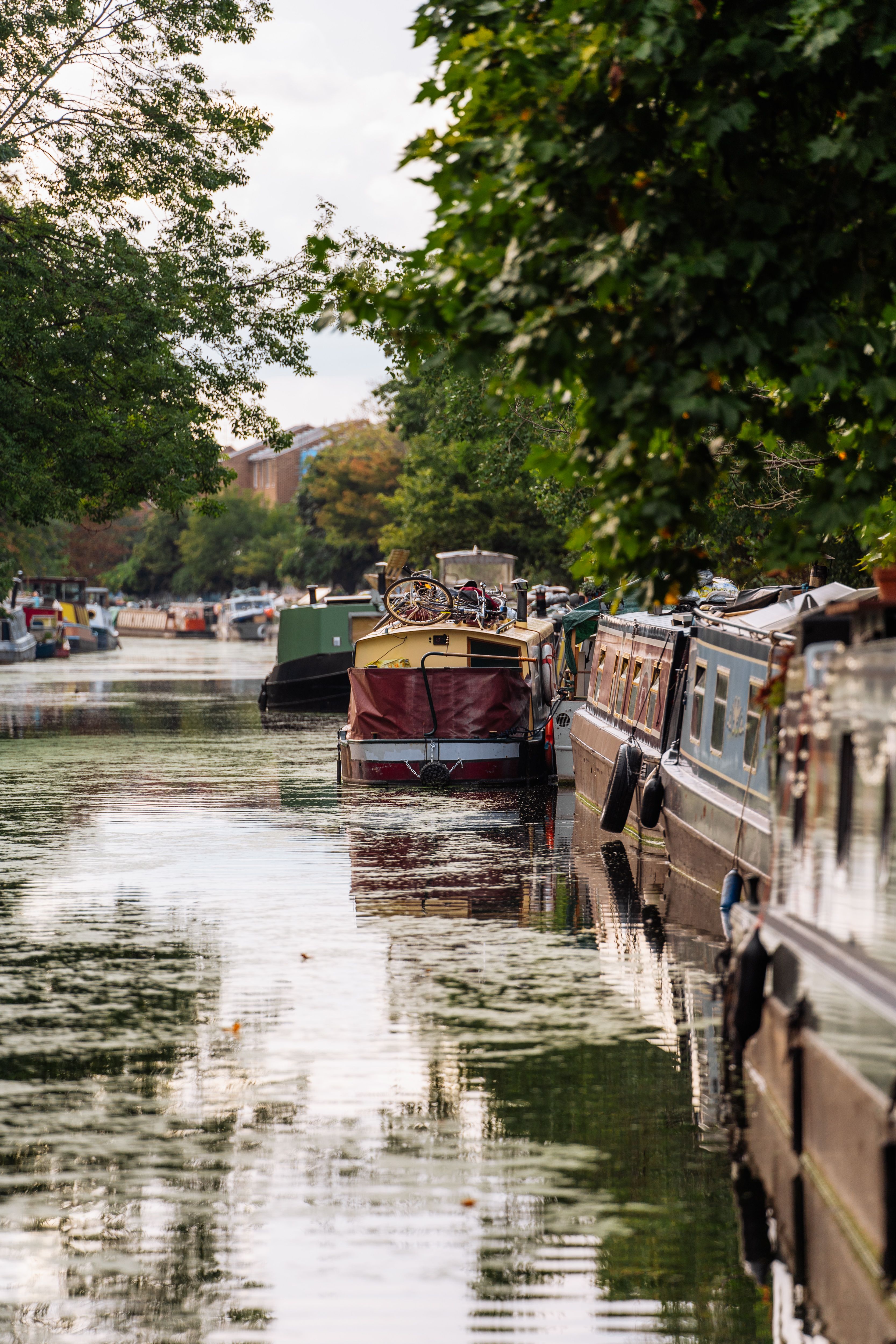 Tranquil Narrowboats Along a Tree-Lined Canal · Free Stock Photo