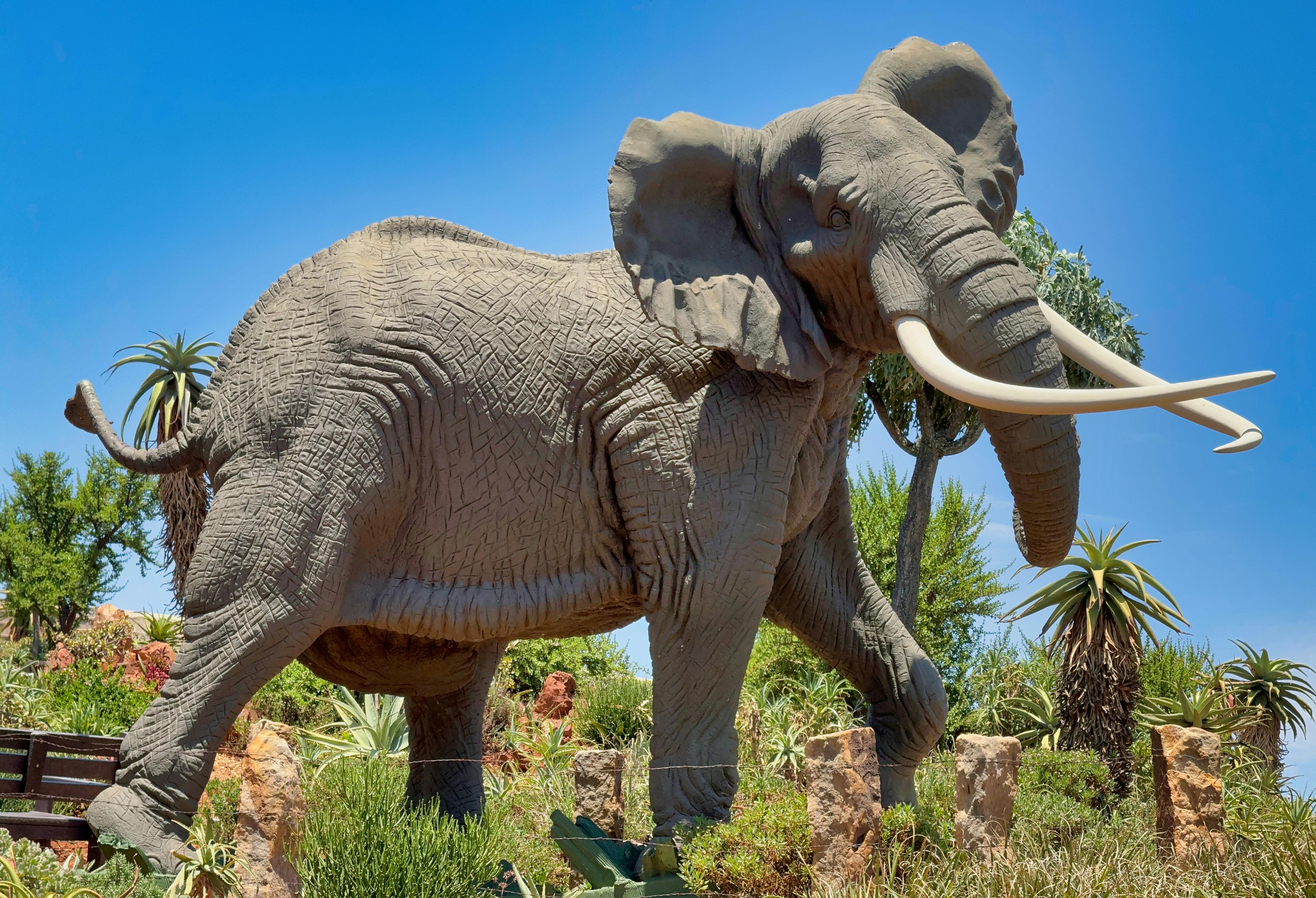 Giant Elephant Statue in Natural Park Setting · Free Stock Photo