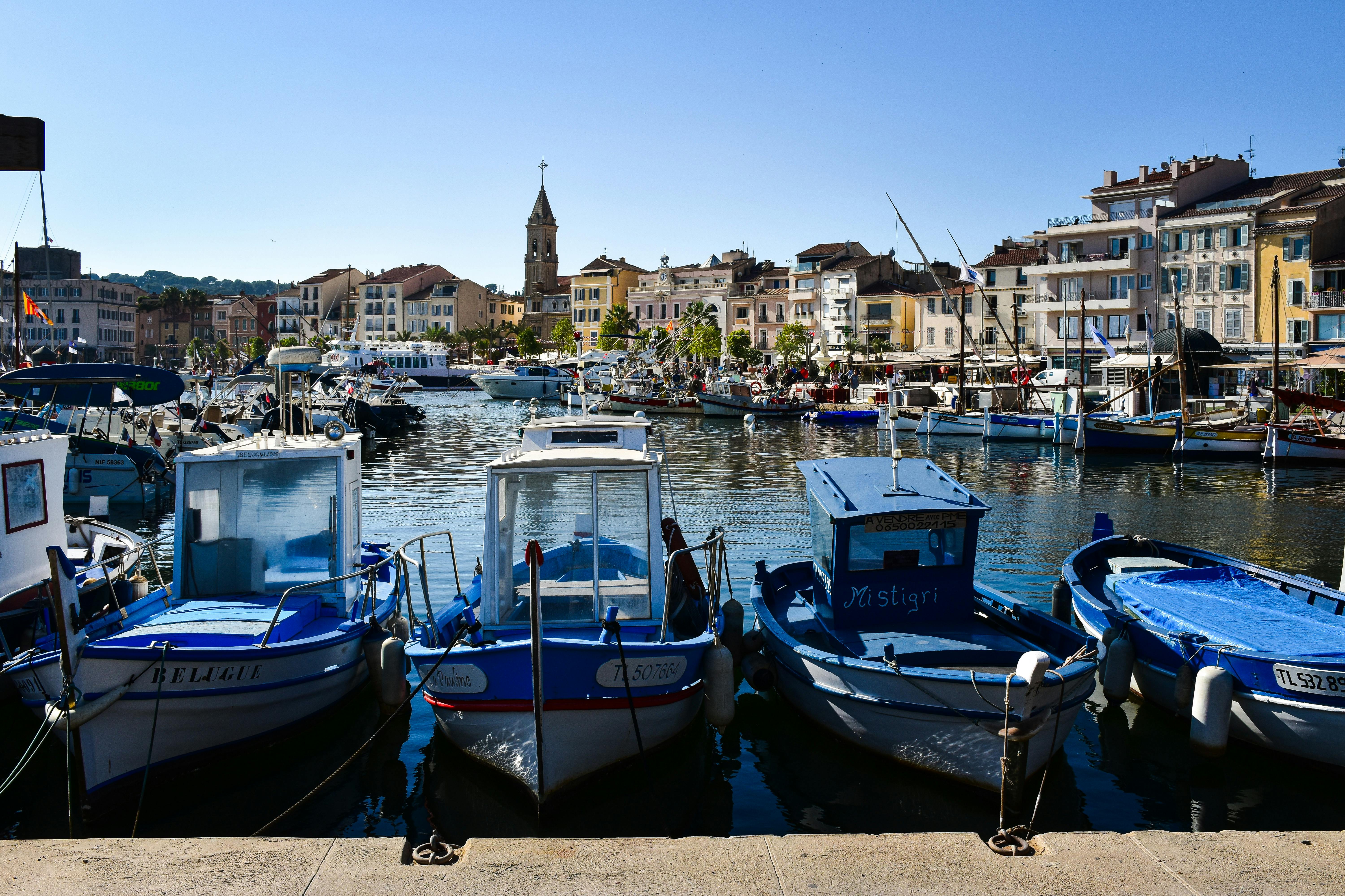 Vibrant Harbor Scene in Bandol, France · Free Stock Photo