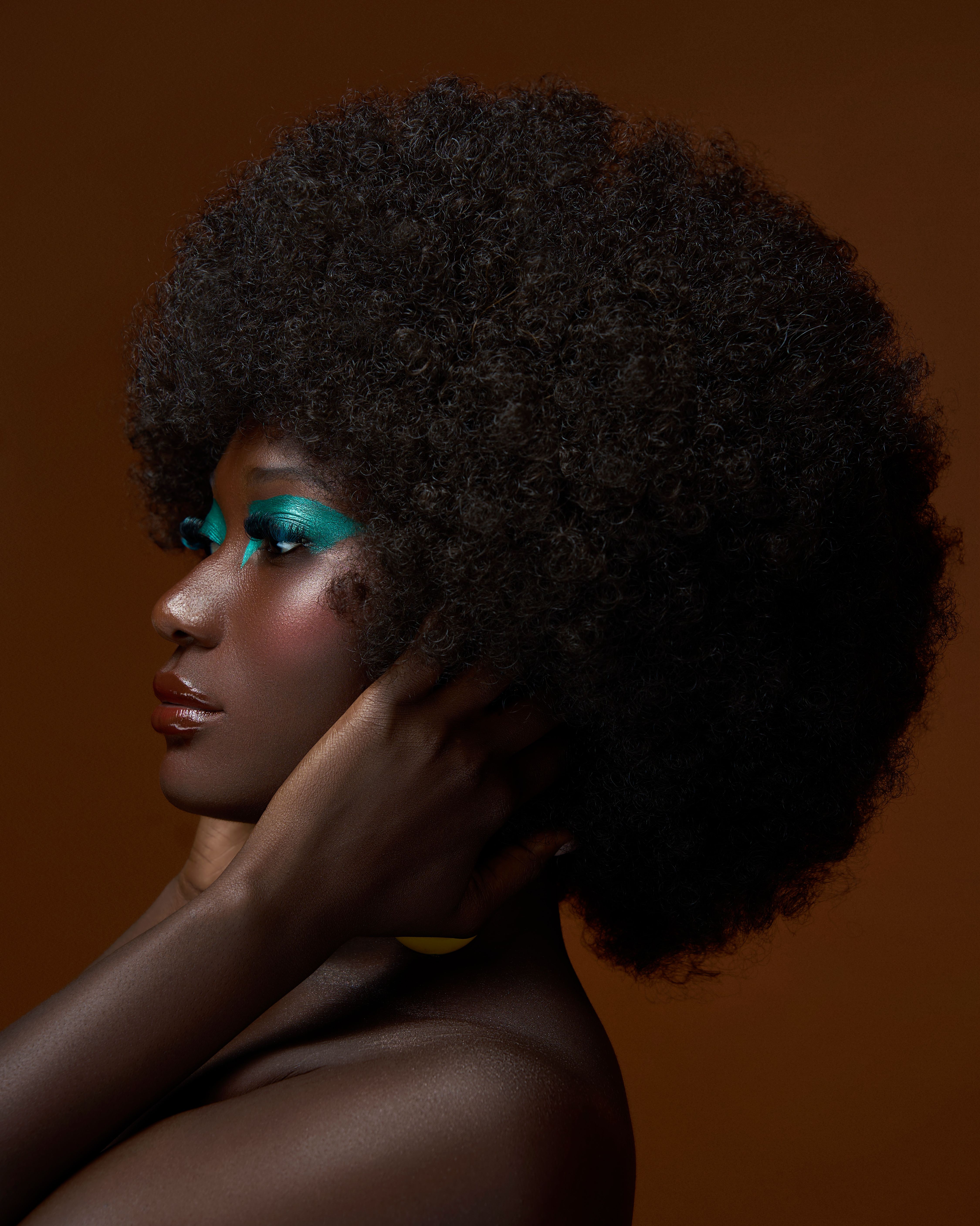 Elegant Portrait of Woman with Afro Hairstyle · Free Stock Photo