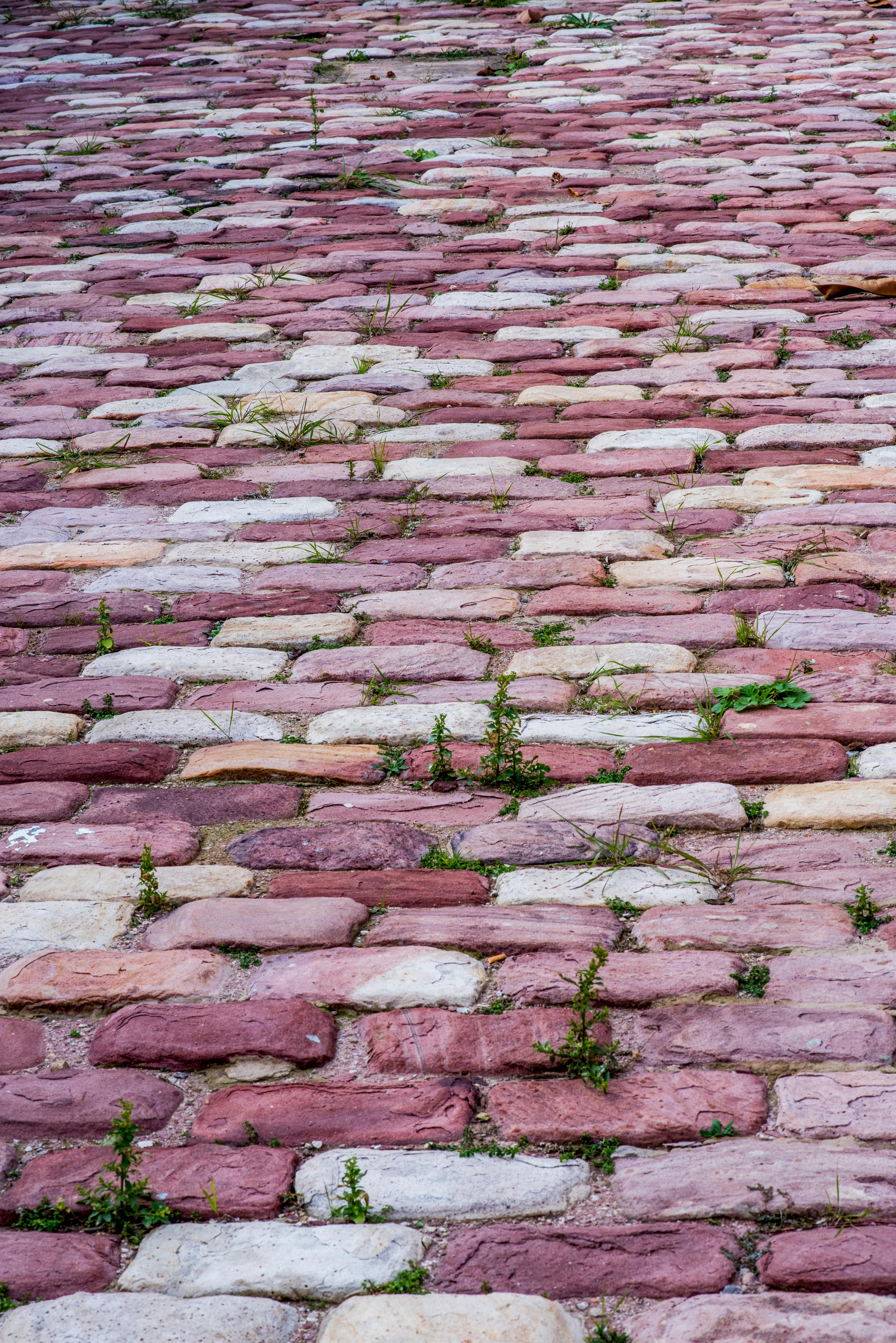 Rustic Cobblestone Path with Growing Weeds · Free Stock Photo