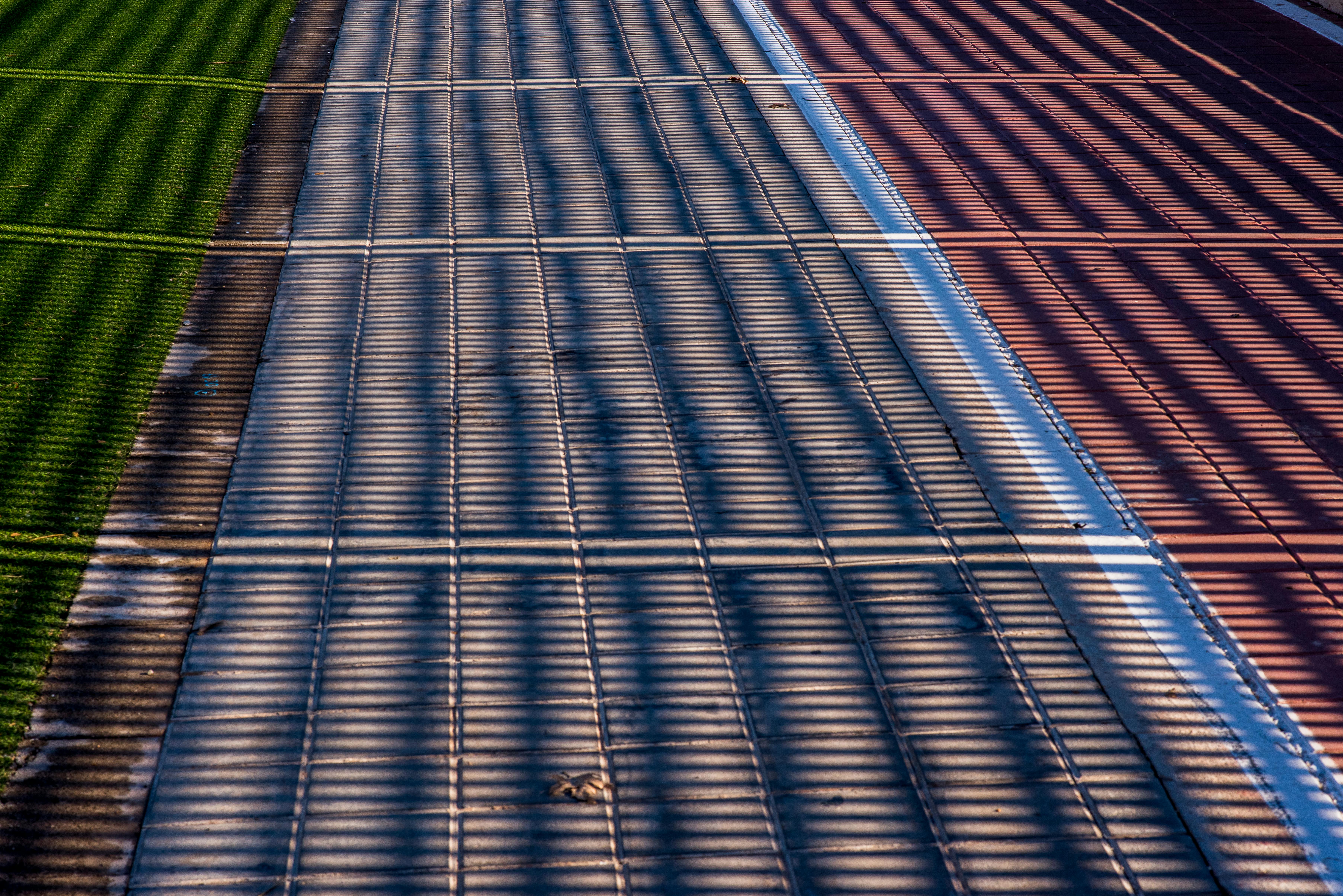 Colorful Rows Photos, Download The BEST Free Colorful Rows Stock Photos ...