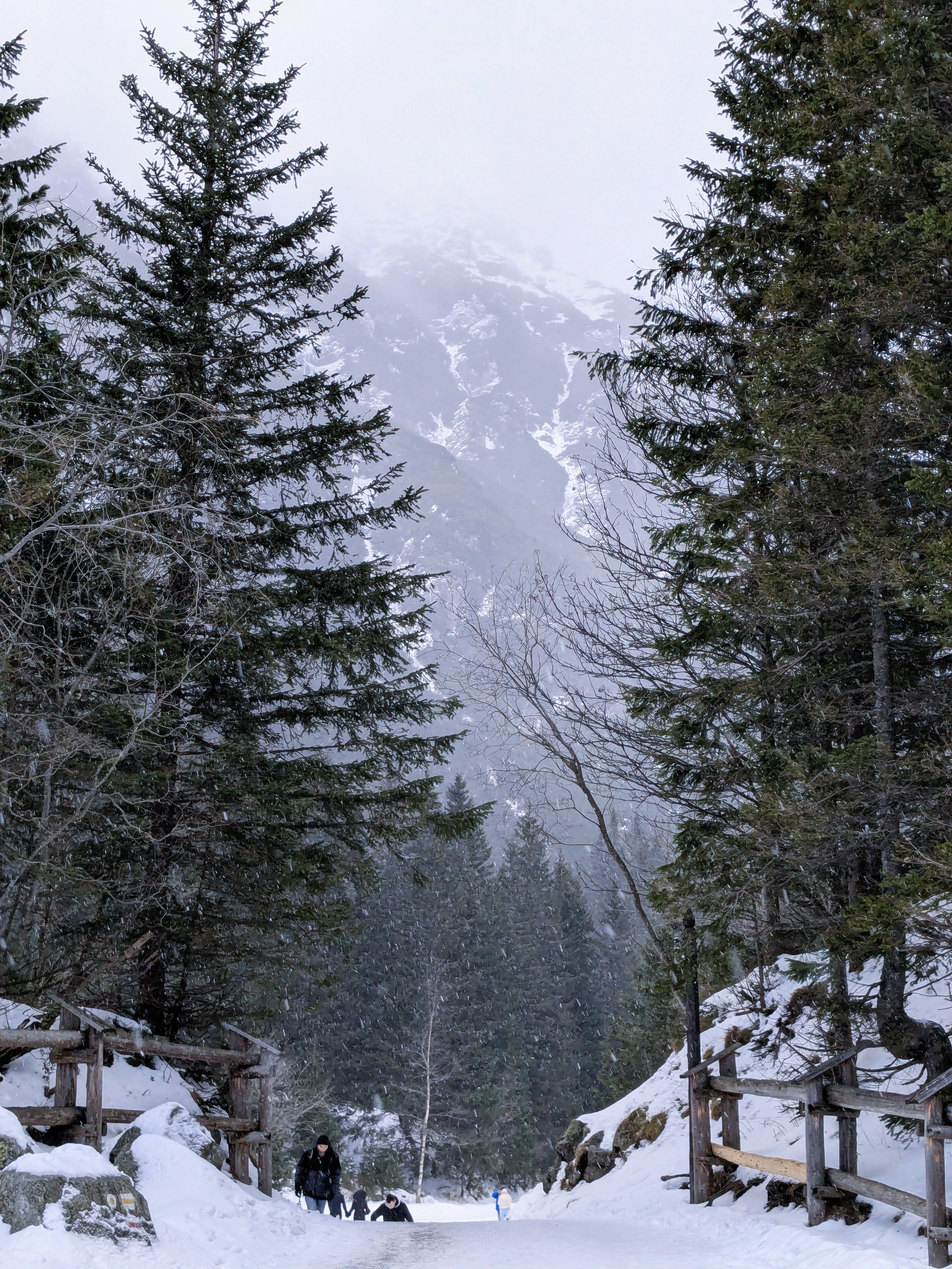 Winter Pathway in Lesser Poland's Tatra Mountains · Free Stock Photo