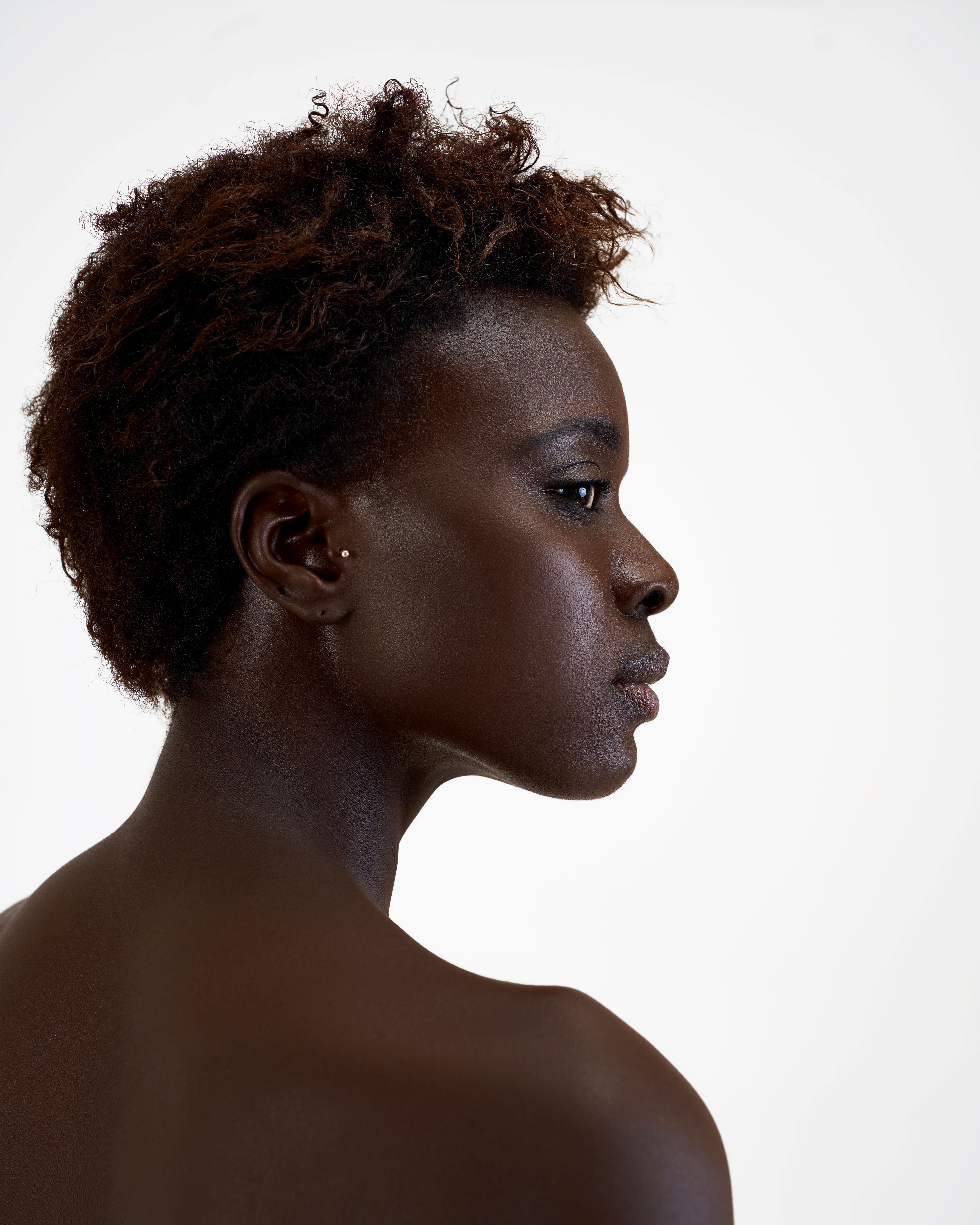 Elegant Profile Portrait of a Woman · Free Stock Photo
