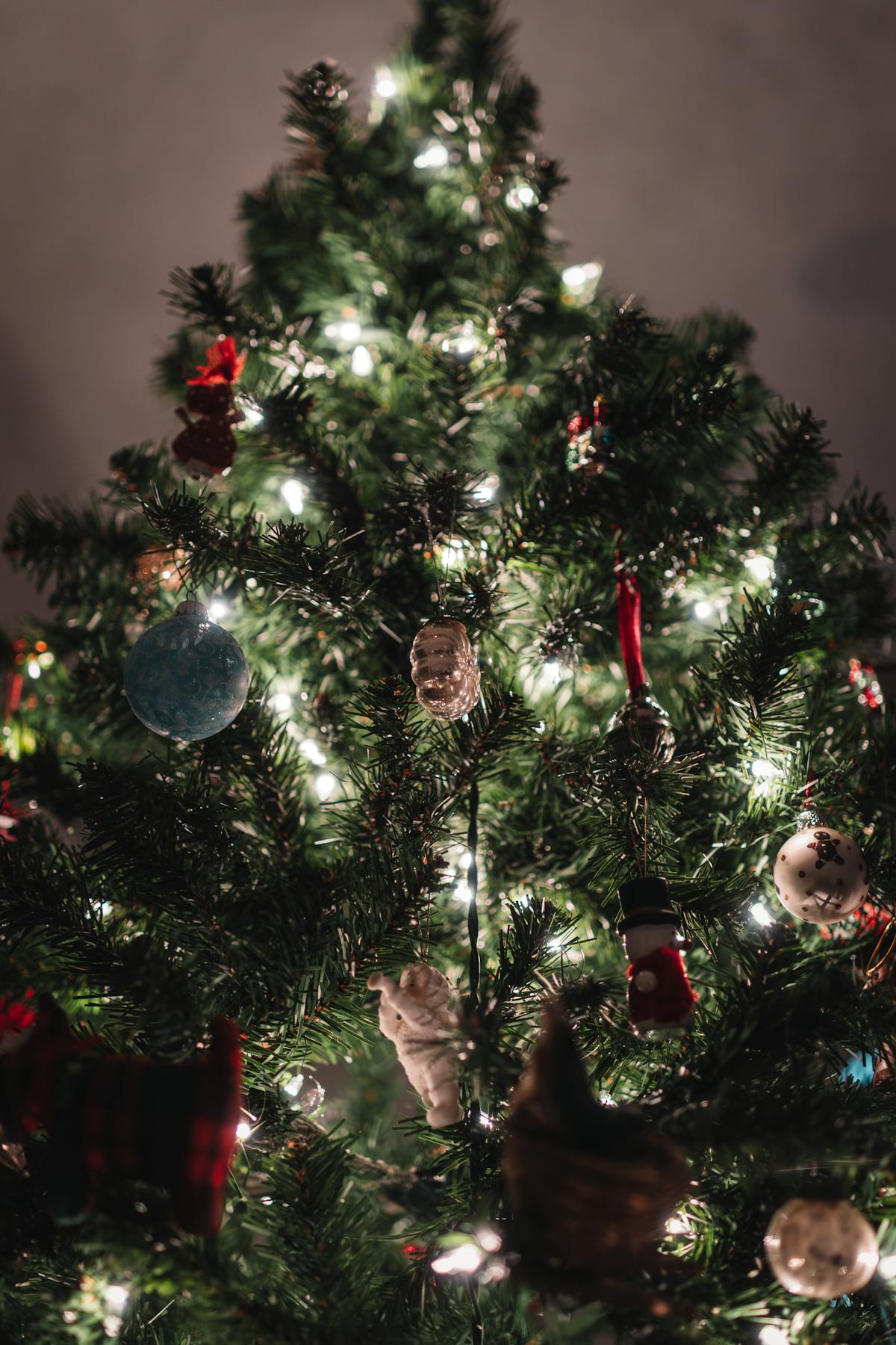 Christmas Tree Image Photos, Download The BEST Free Christmas Tree ...