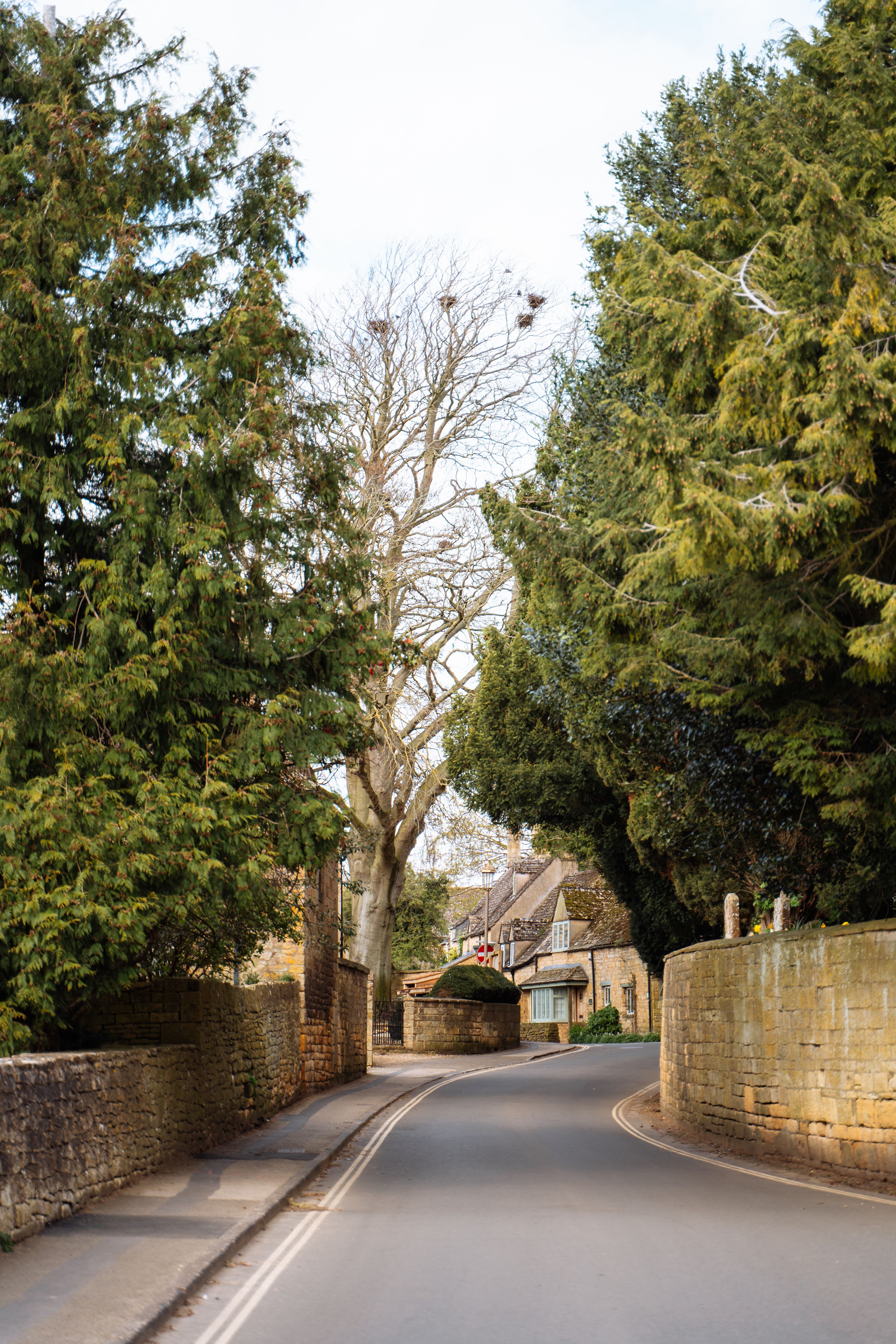 Charming English Village Road in Spring · Free Stock Photo