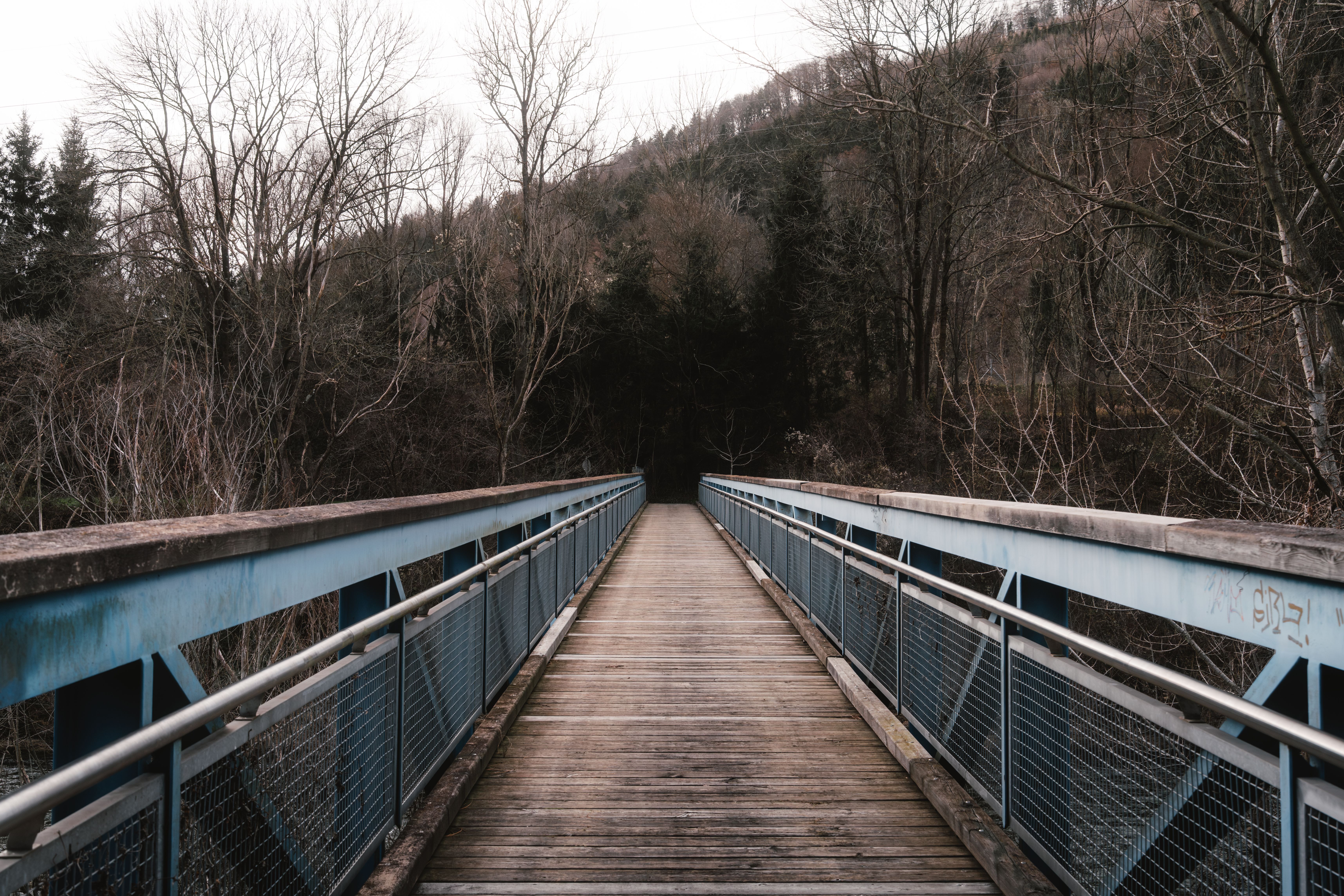 Rustic Wooden Bridge in Austrian Forest · Free Stock Photo