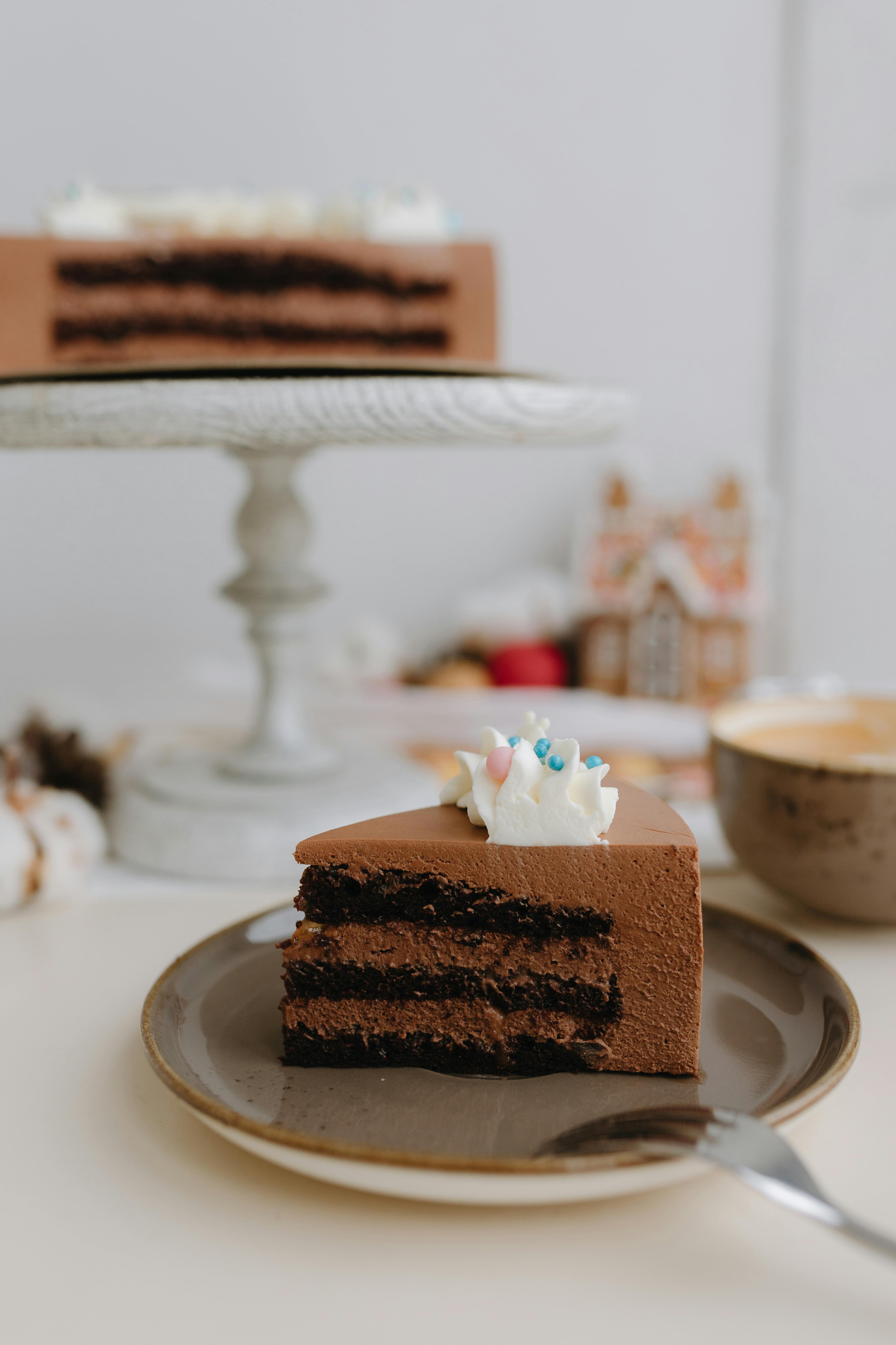 Delicious Chocolate Cake Slice on Plate · Free Stock Photo