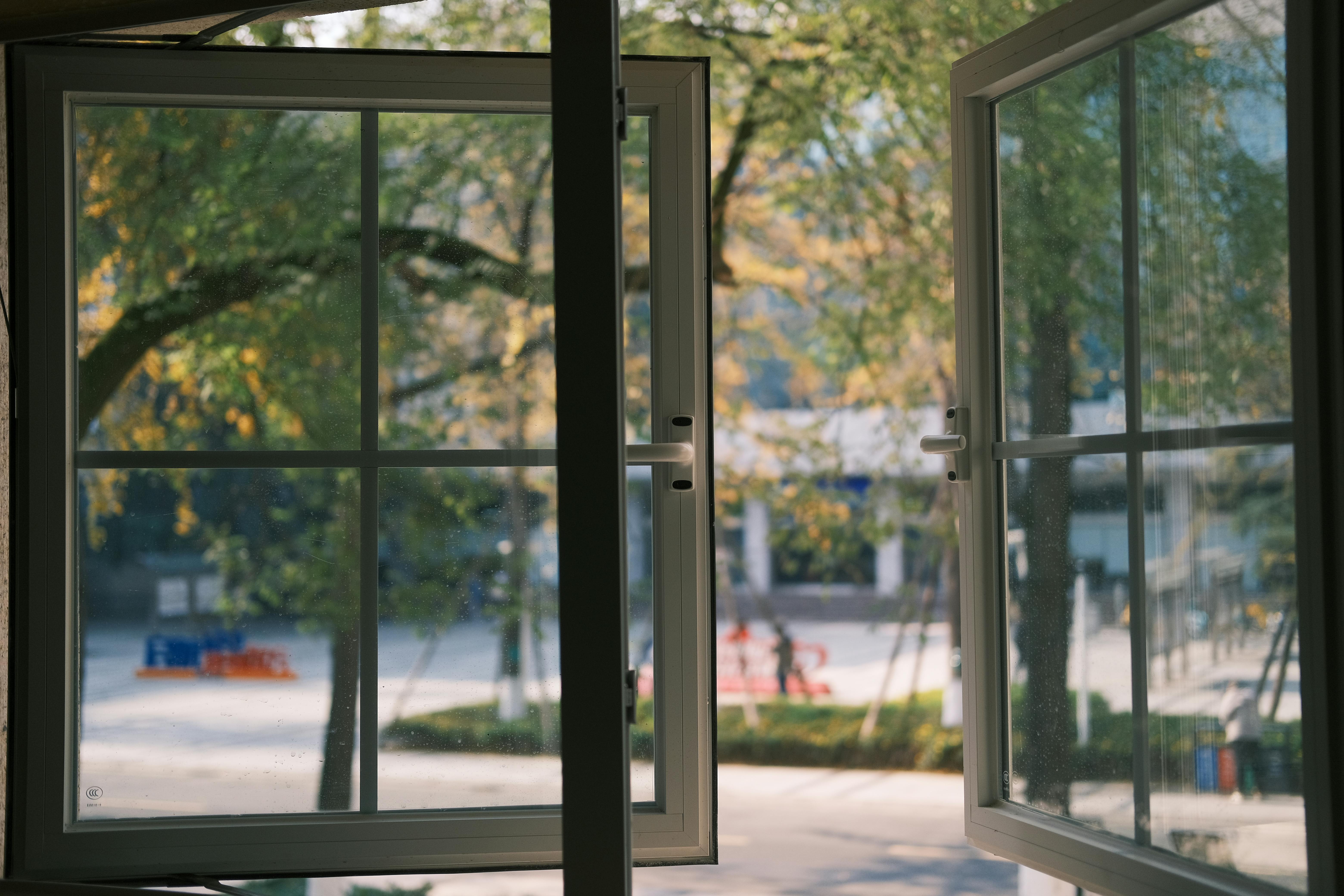 Open Window with Sunlit Greenery in the Background · Free Stock Photo