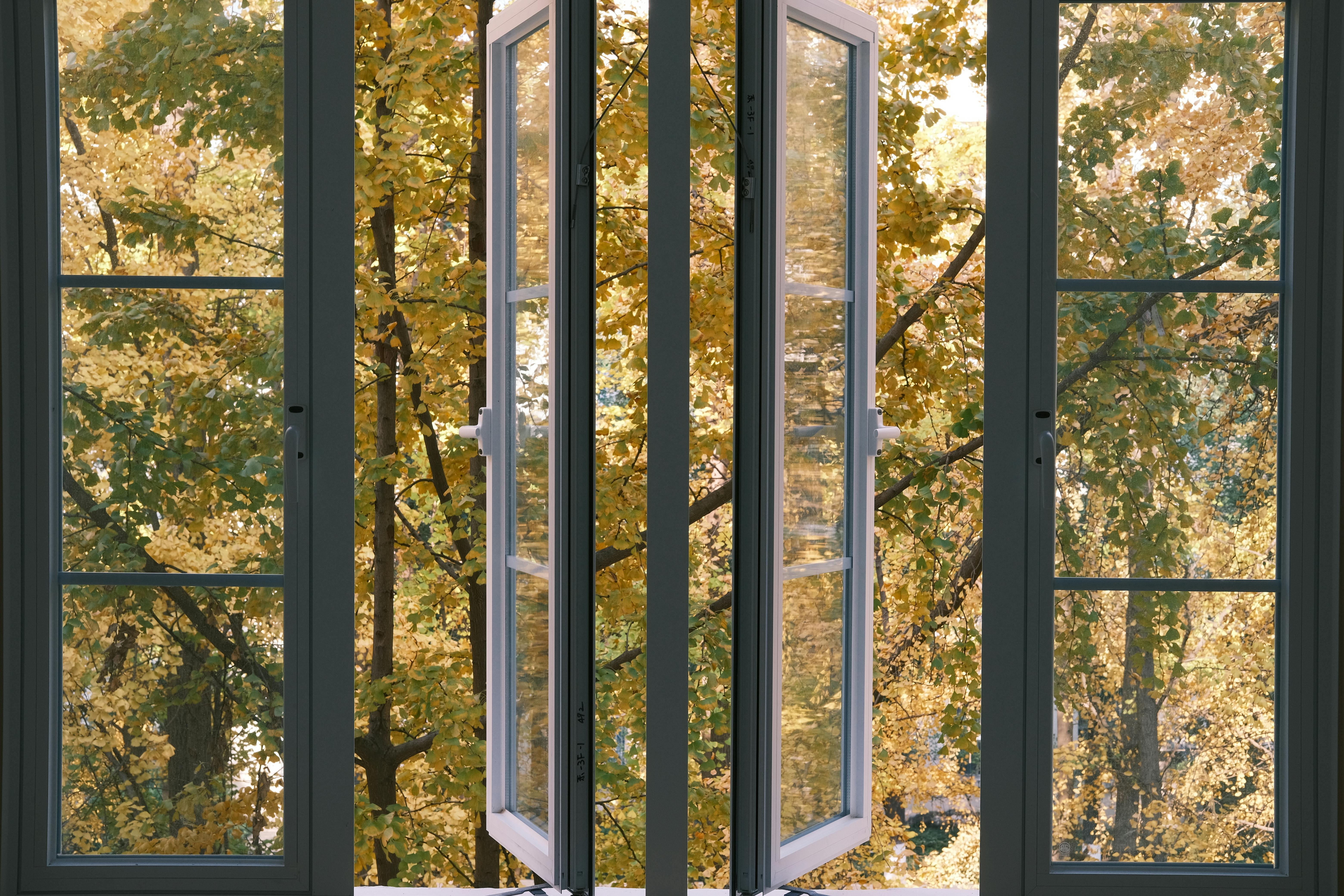 Open Window Overlooking Autumn Trees · Free Stock Photo