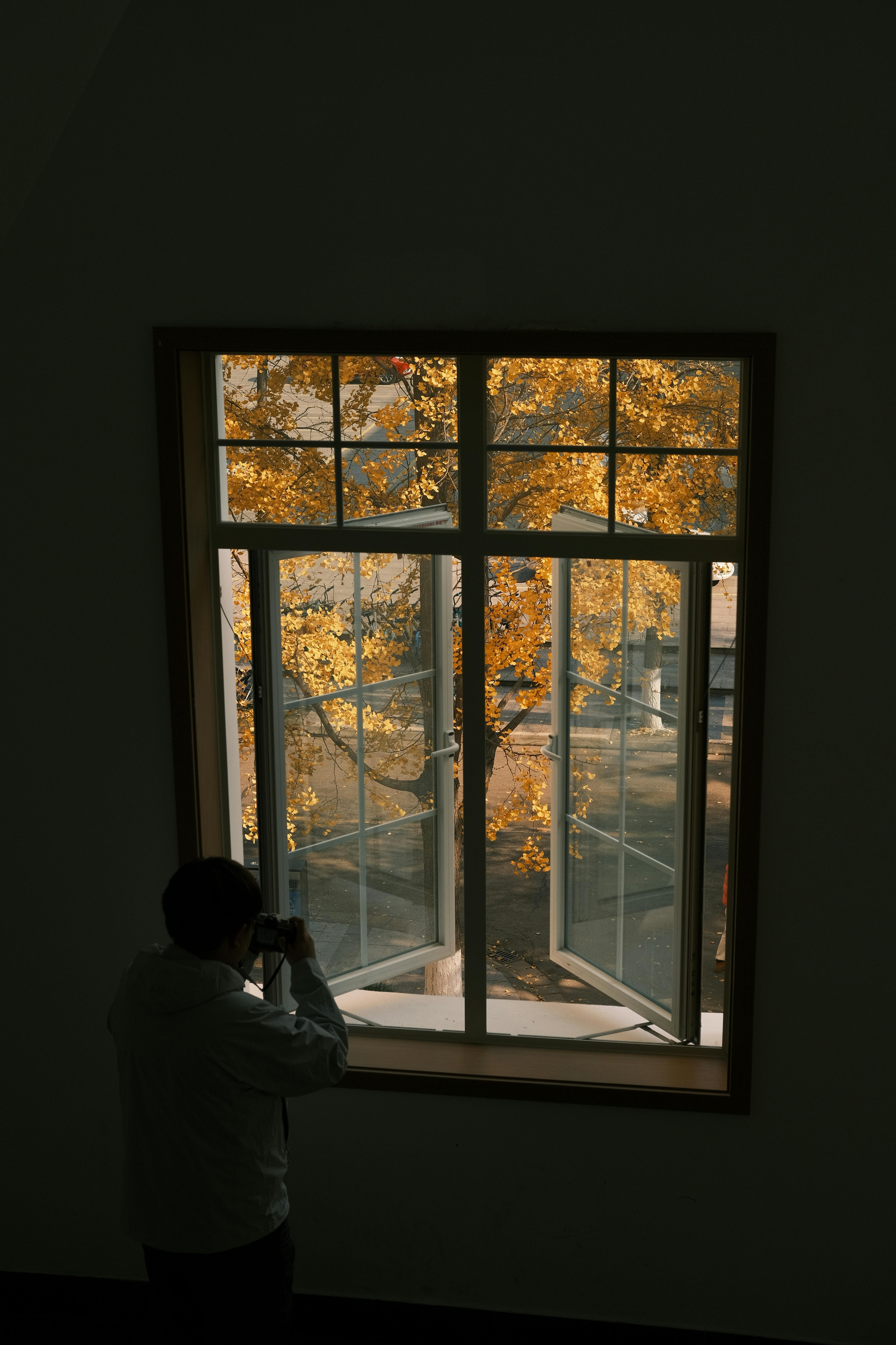Autumn View Through Open Window in Quiet Room · Free Stock Photo