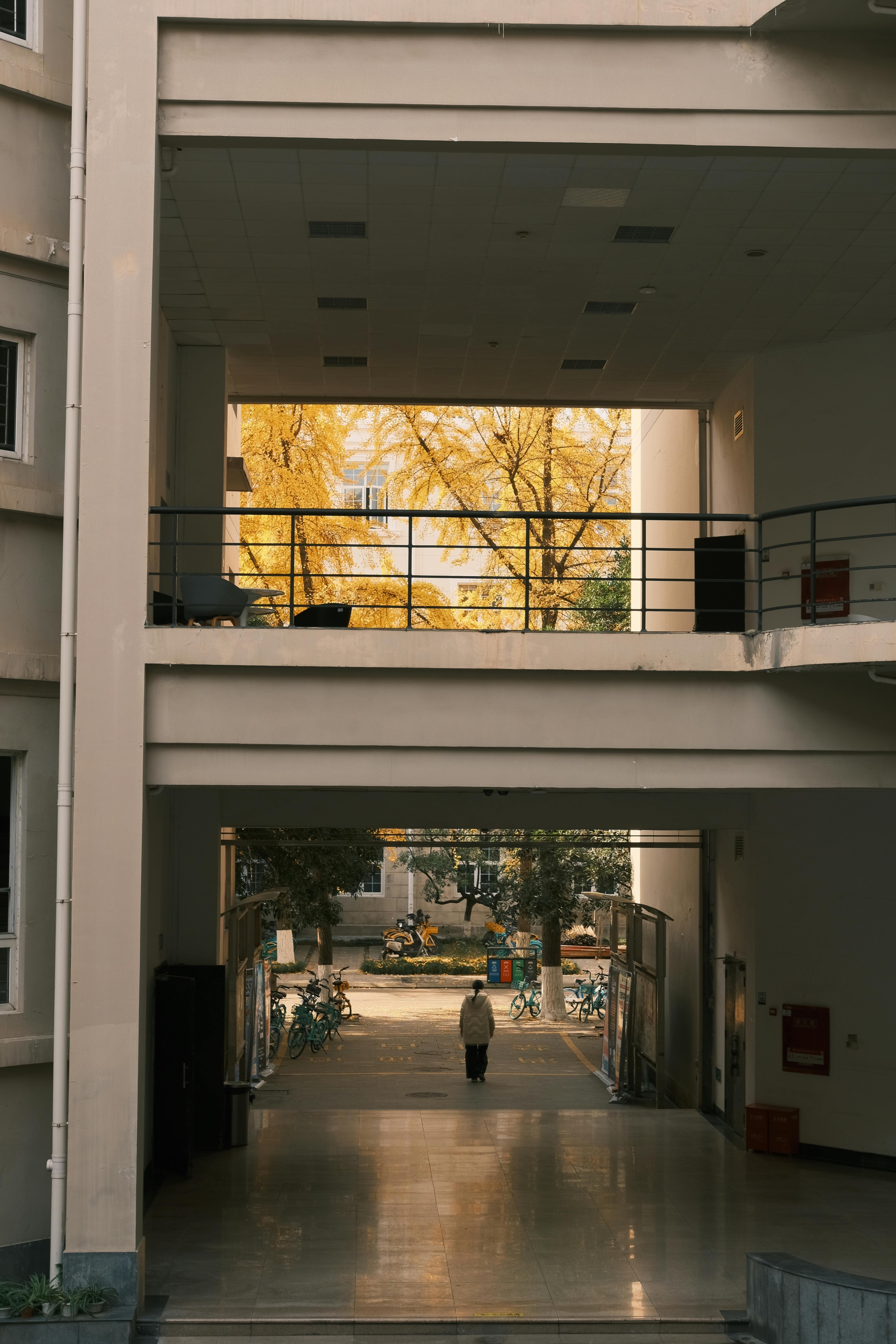 Urban Courtyard Scene with Autumn Foliage · Free Stock Photo