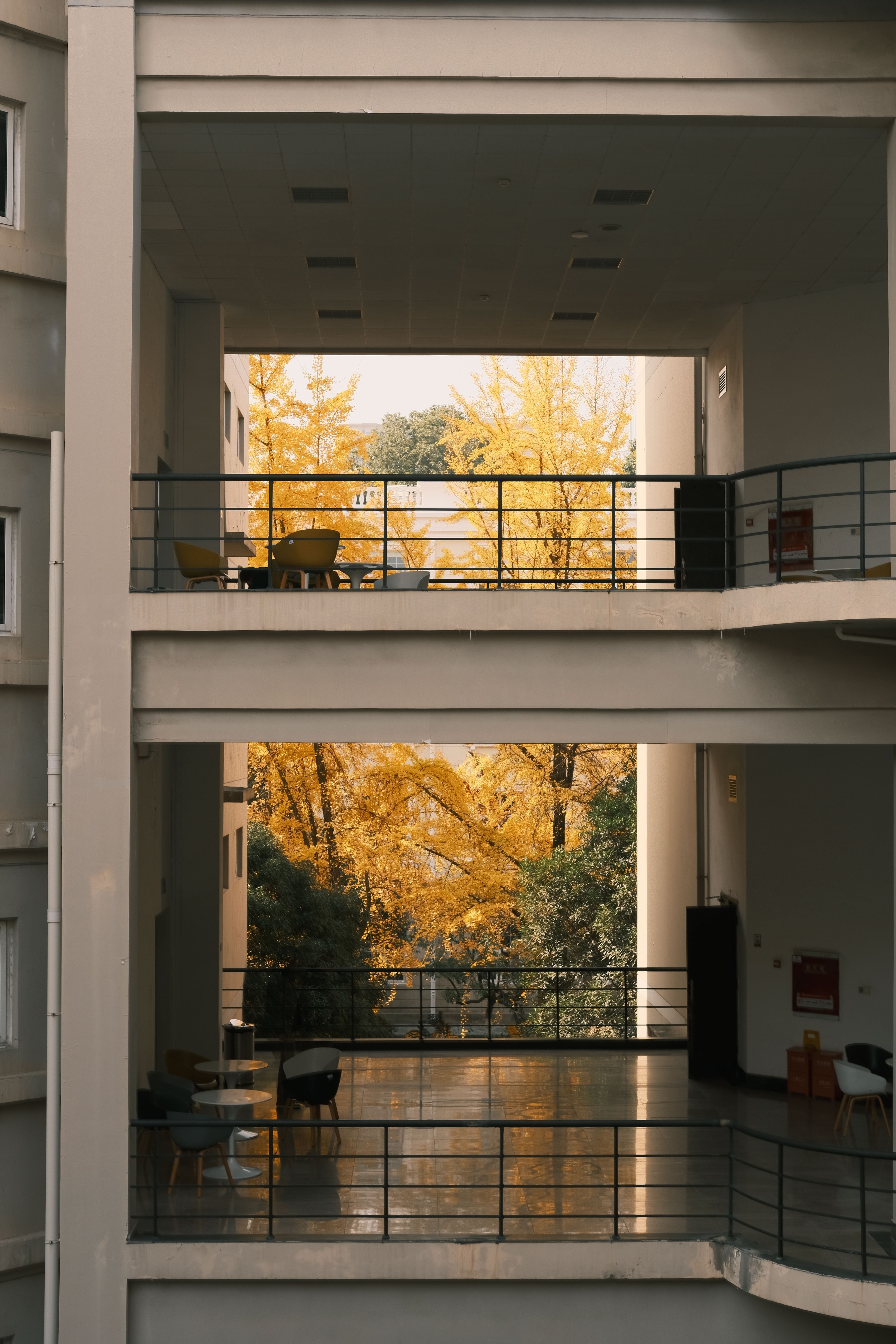 Modern building with autumn foliage view · Free Stock Photo