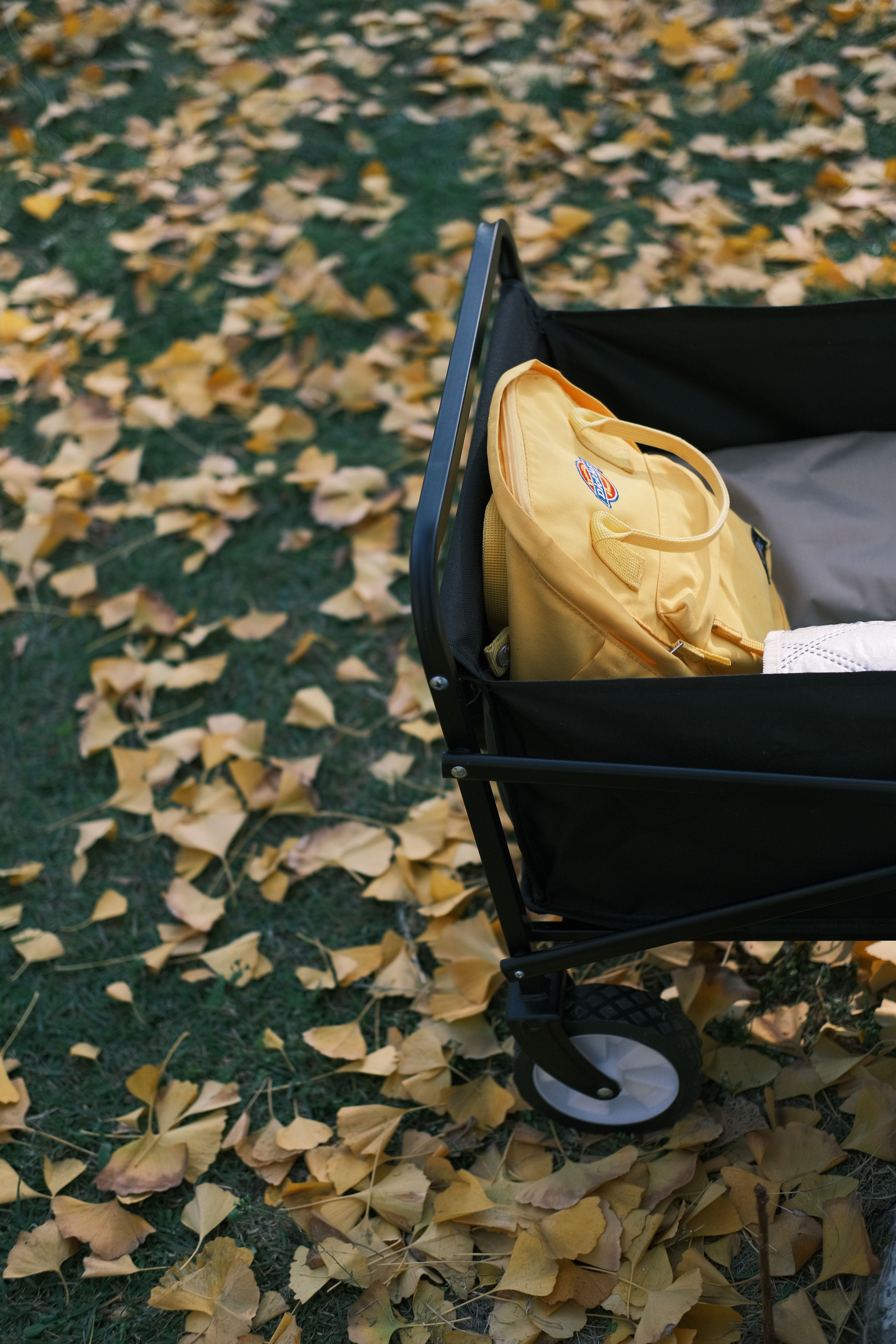 Slatted Cart Photos, Download The BEST Free Slatted Cart Stock Photos ...