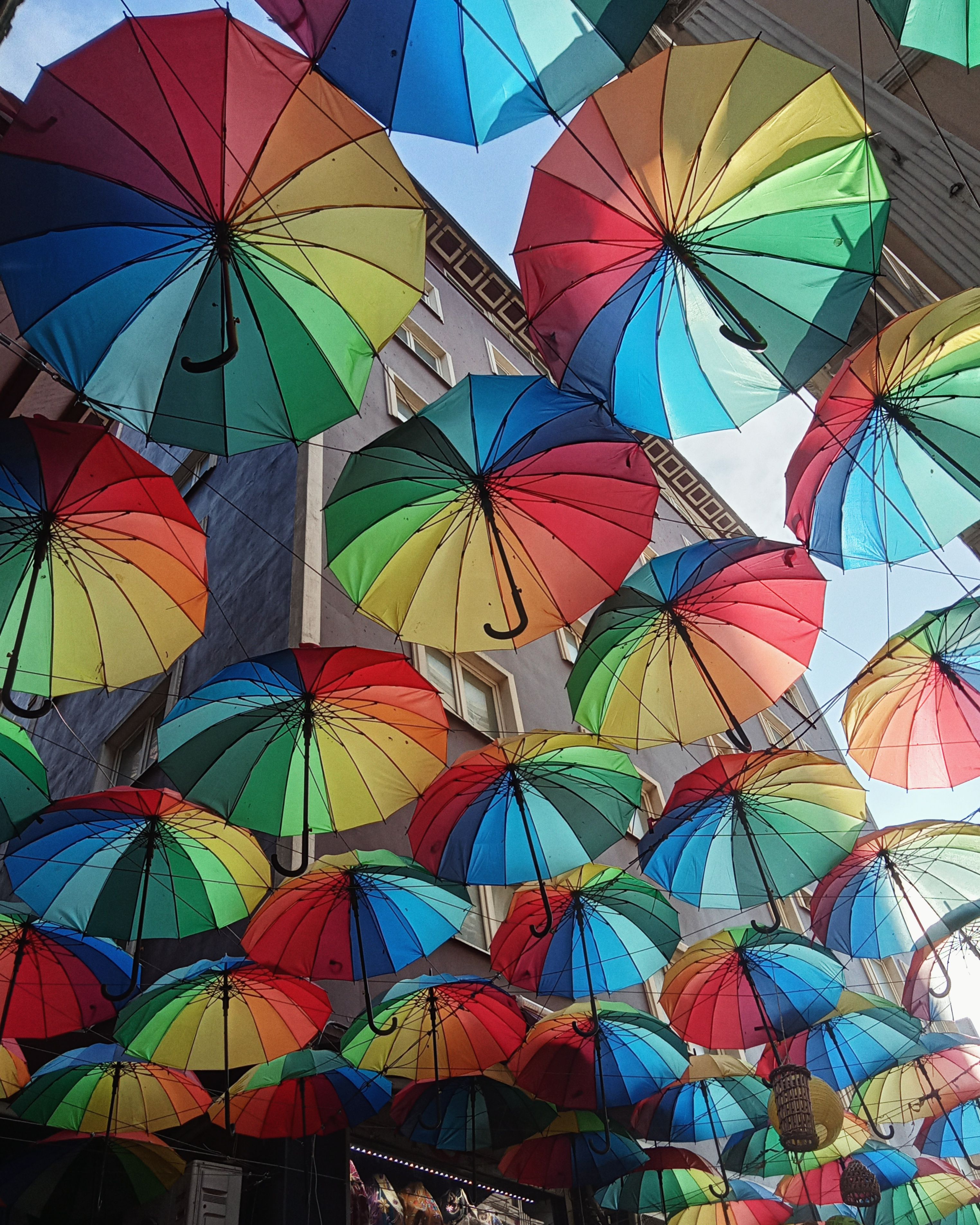 Vibrant Umbrella Installation in Istanbul Street · Free Stock Photo