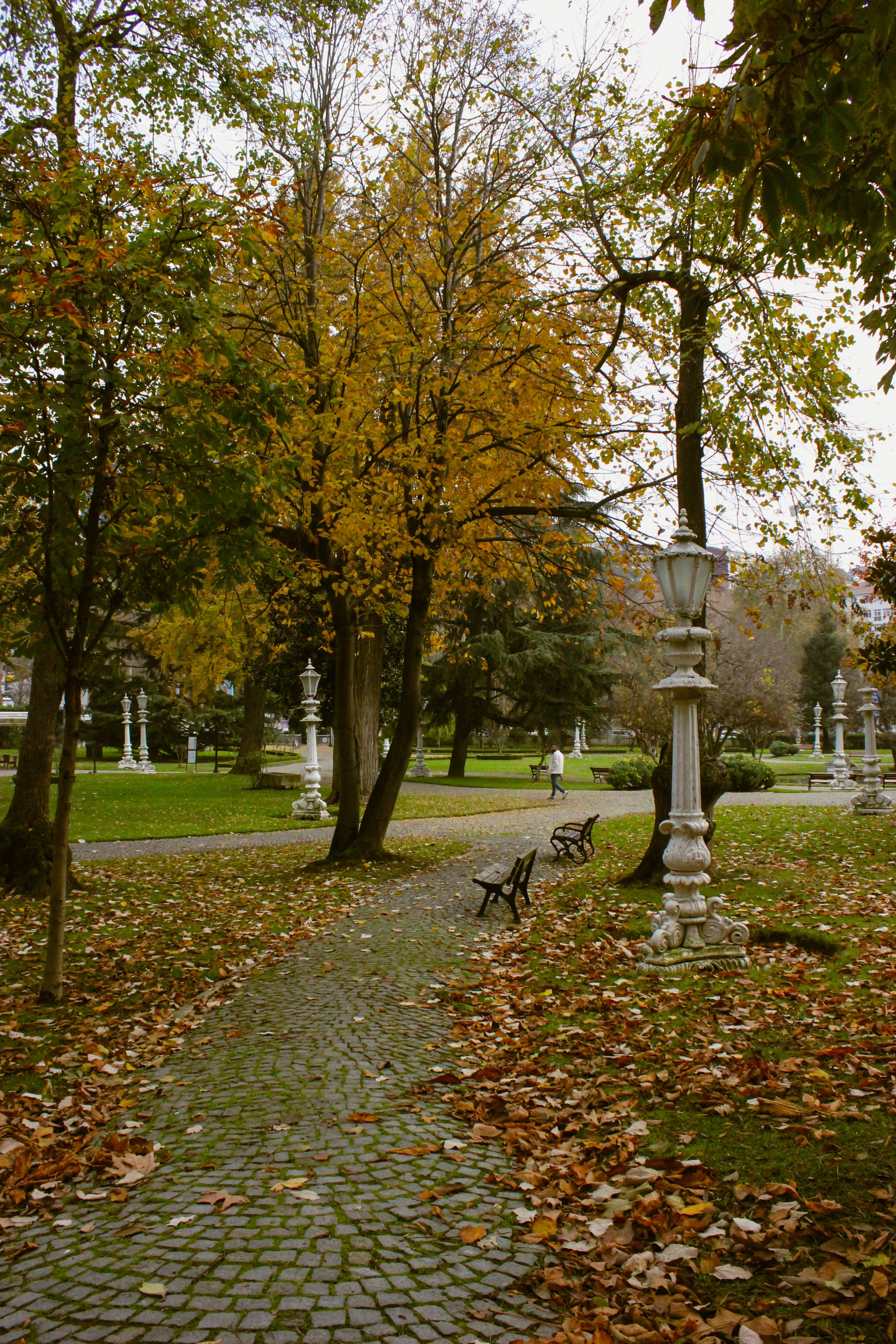 Cobblestone Path in Autumn Park Setting · Free Stock Photo
