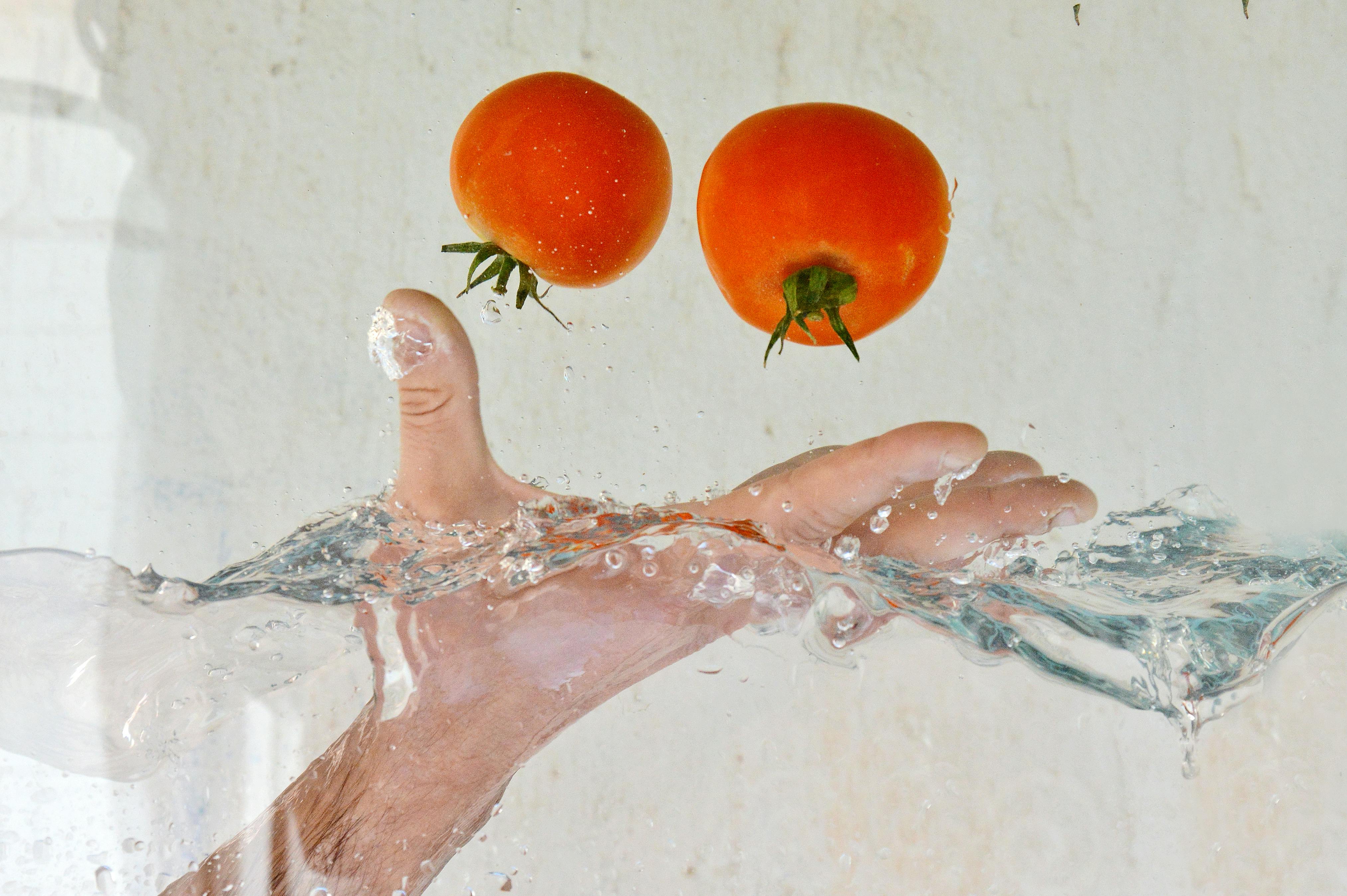 Floating Tomatoes with Splashing Water Effect · Free Stock Photo