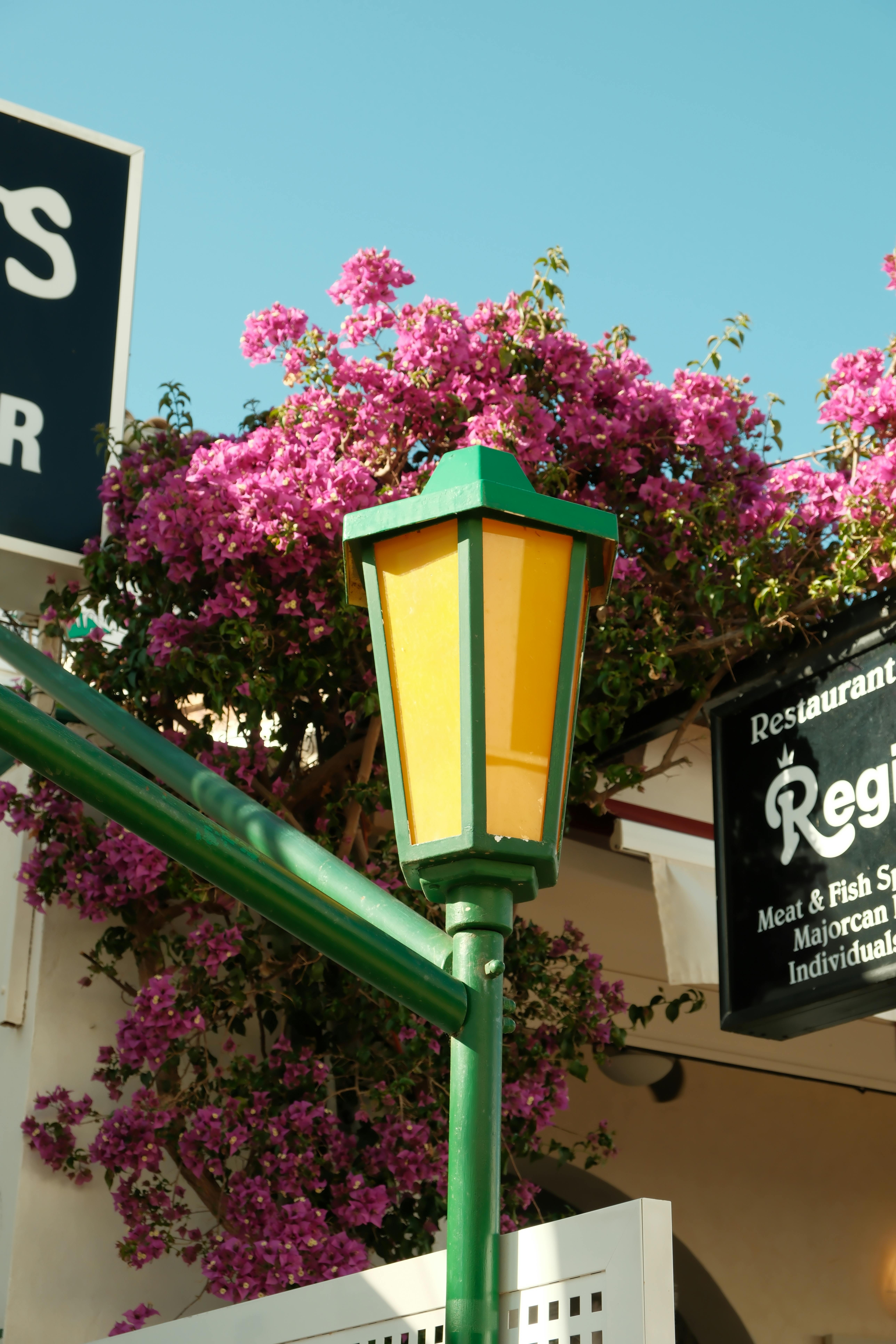 Charming Green Lamp Post in Cala d'Or · Free Stock Photo