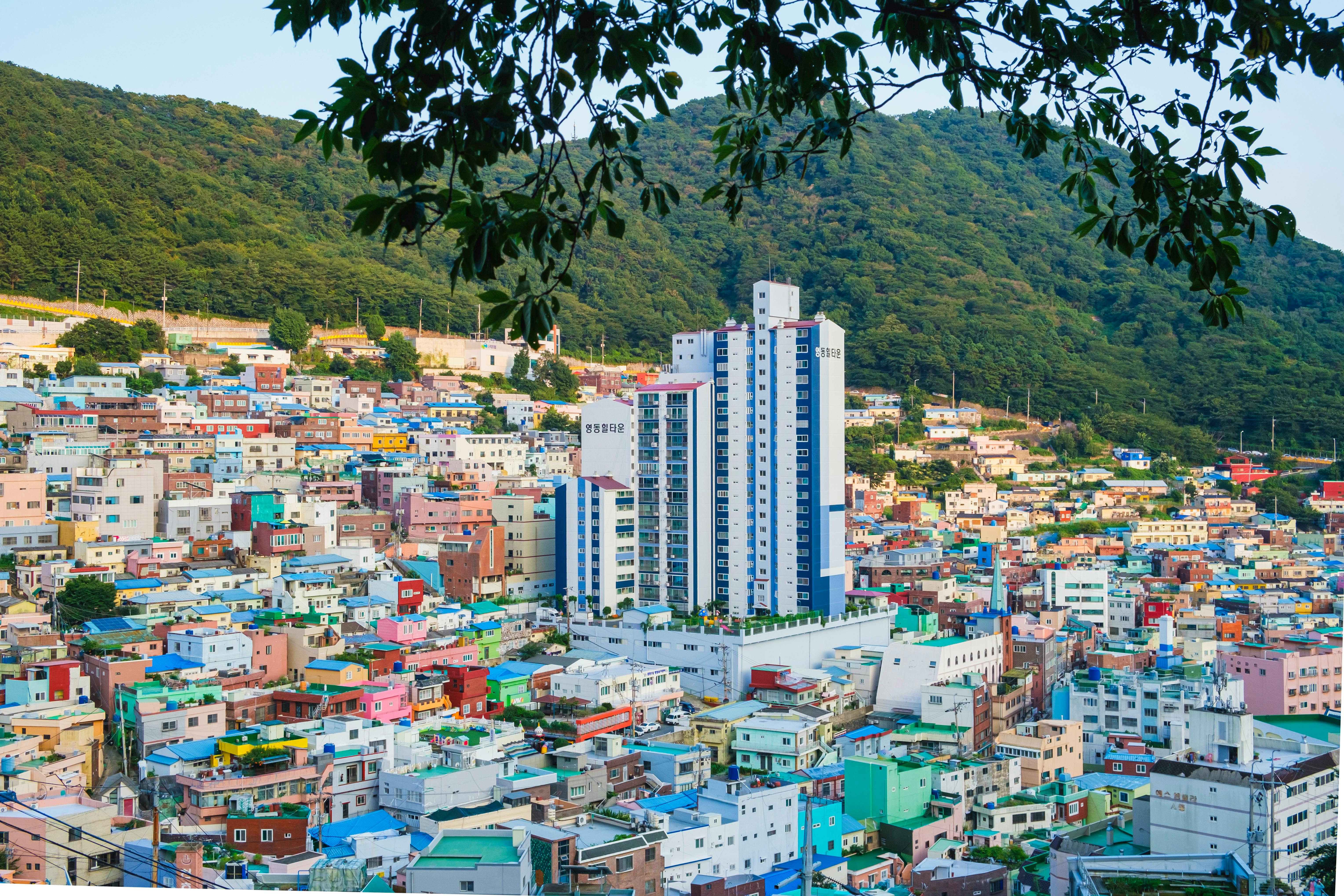 Building Variety Photos, Download The BEST Free Building Variety Stock ...