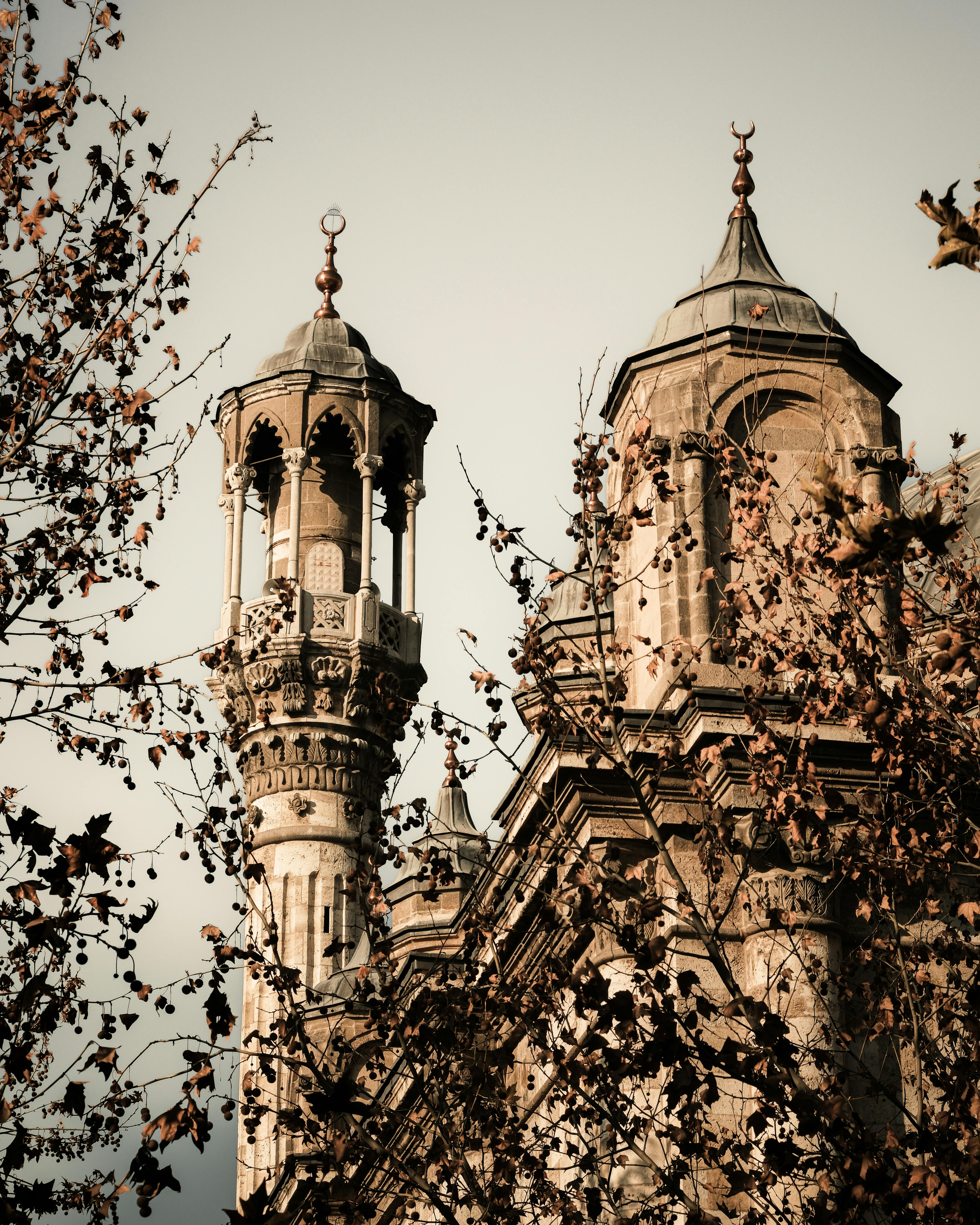 Historic Architectural Minaret Surrounded by Foliage · Free Stock Photo