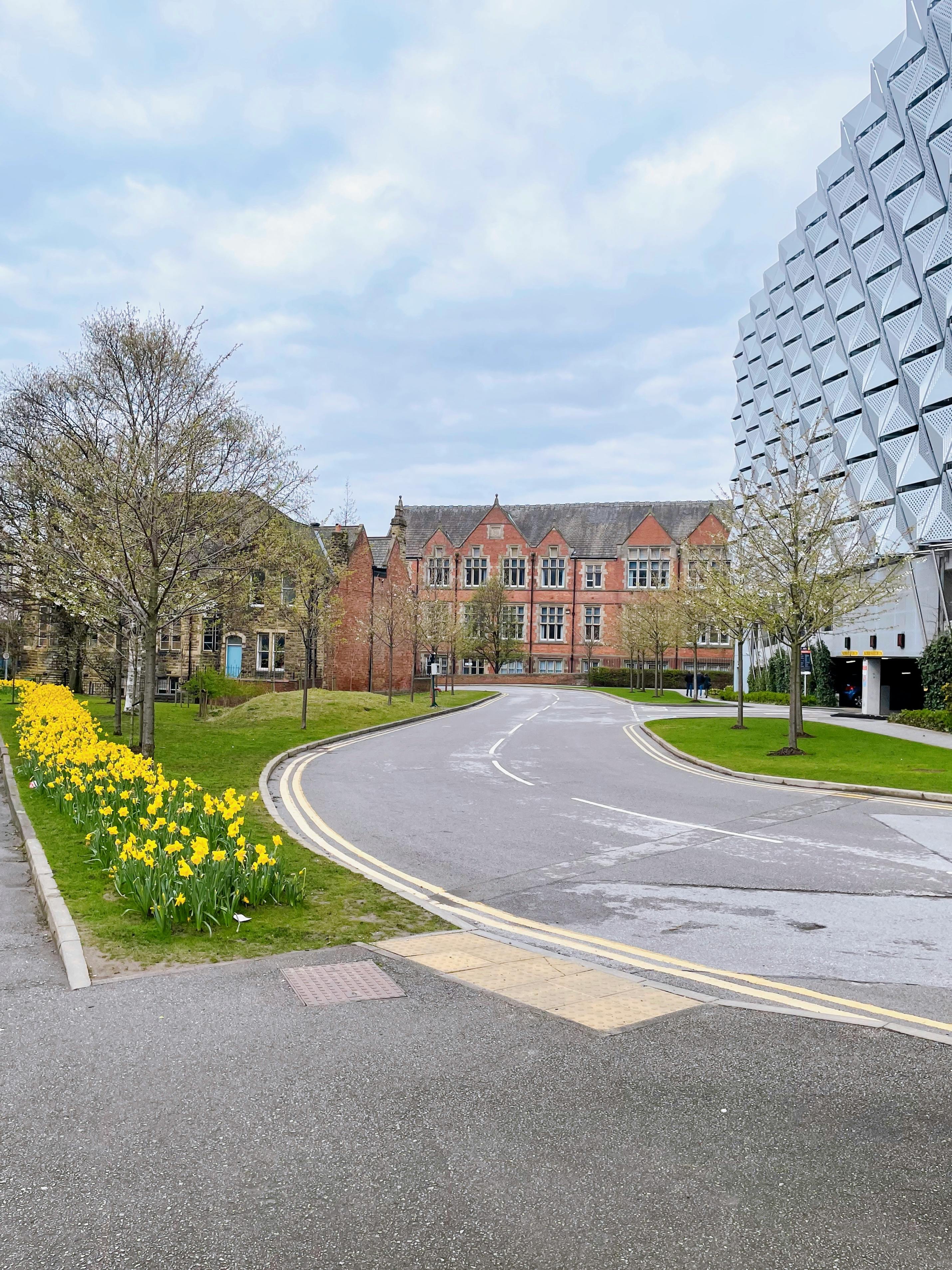 Picturesque Campus Path in Leeds, England · Free Stock Photo