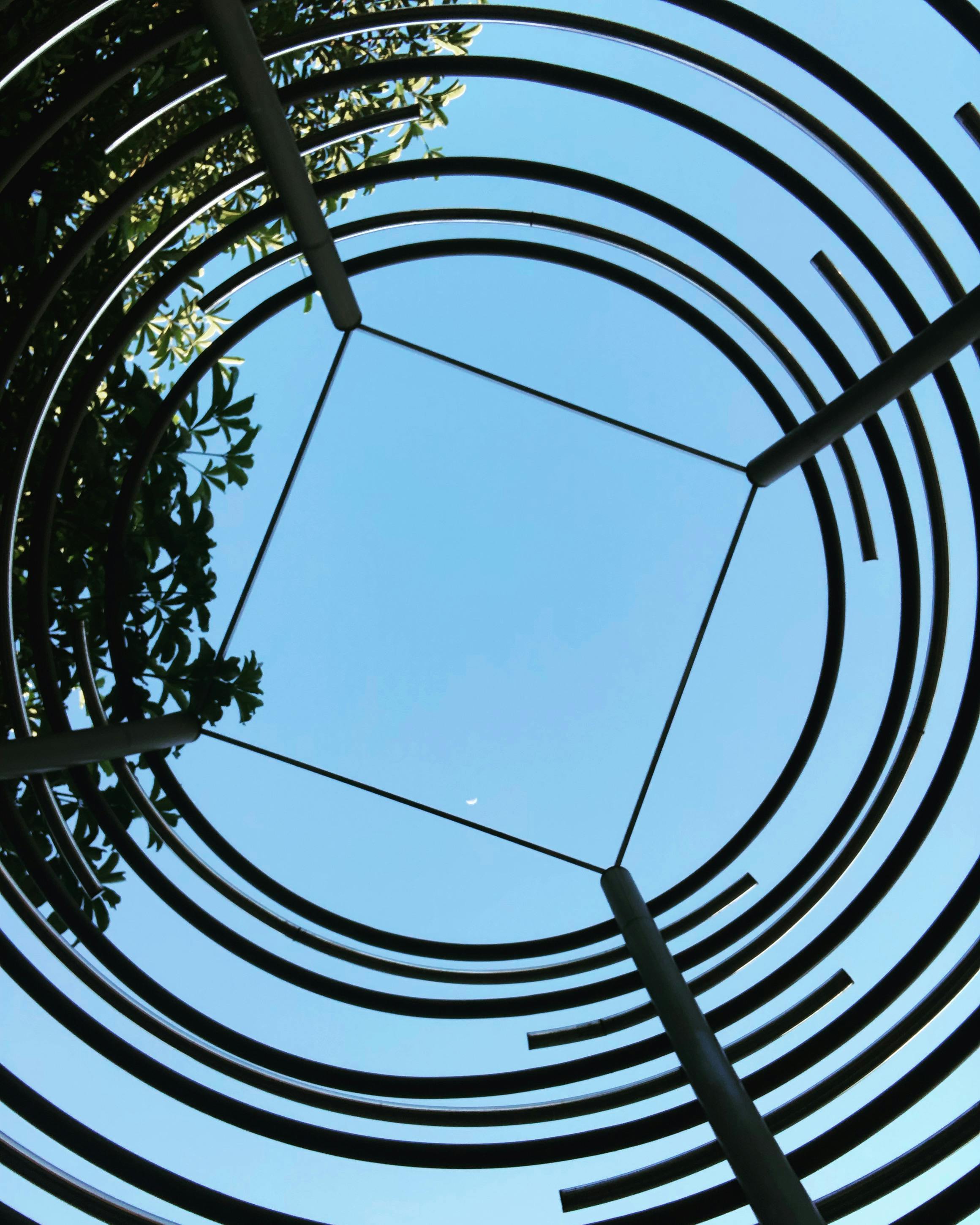 Abstract View of Geometric Structure Through Trees · Free Stock Photo