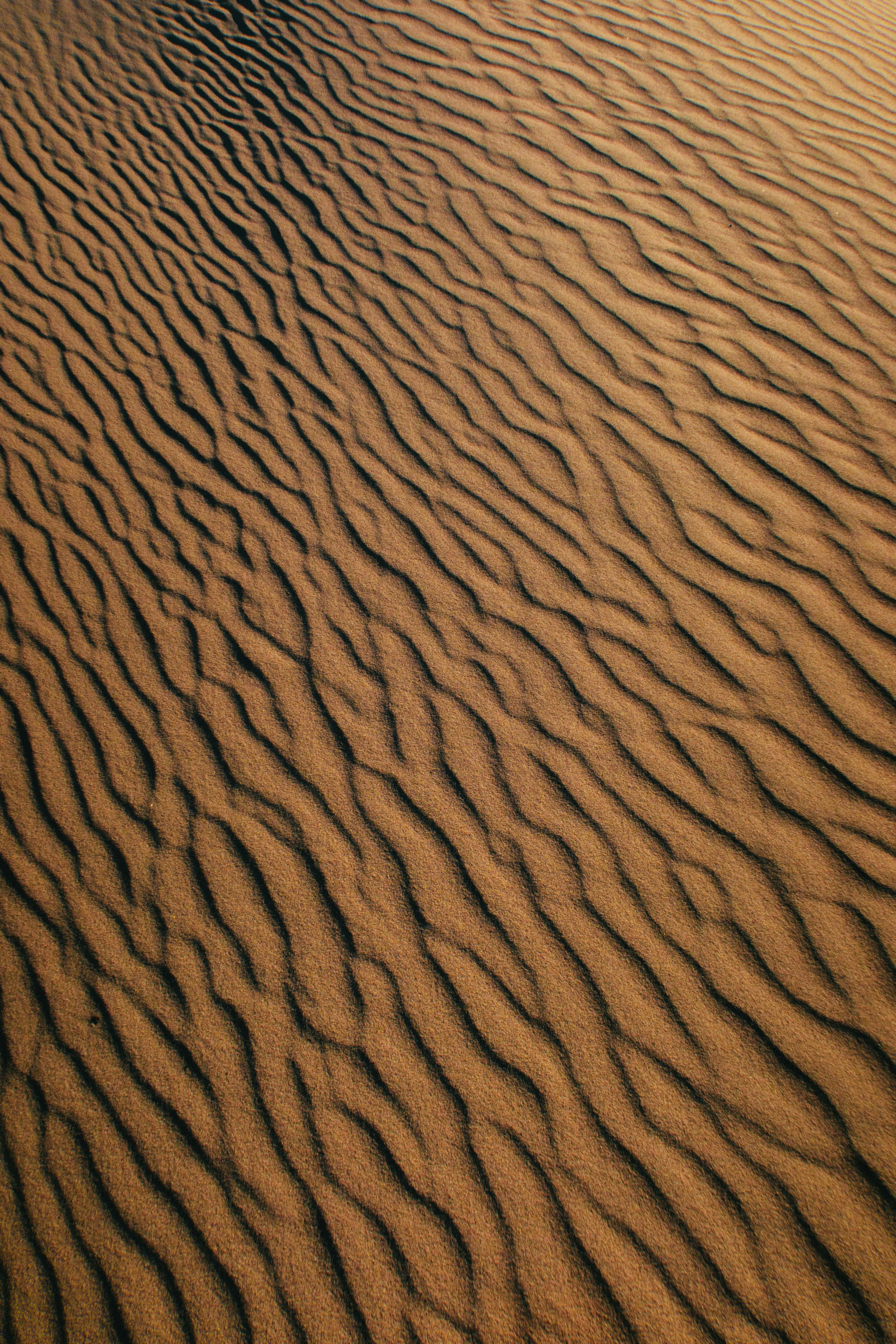 Brown Wavy Sand · Free Stock Photo