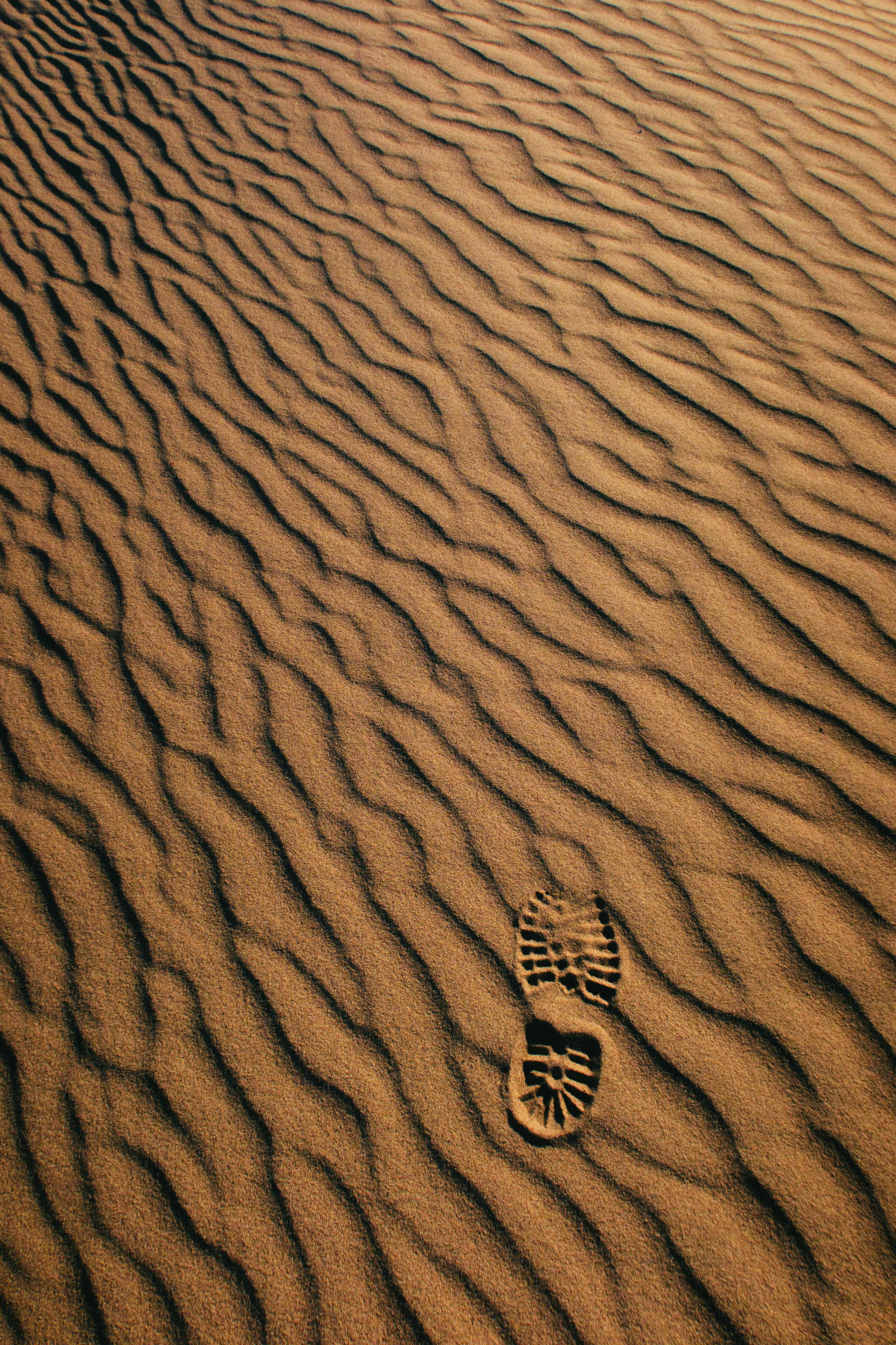 1000+ Engaging Desert Texture Photos · Pexels · Free Stock Photos