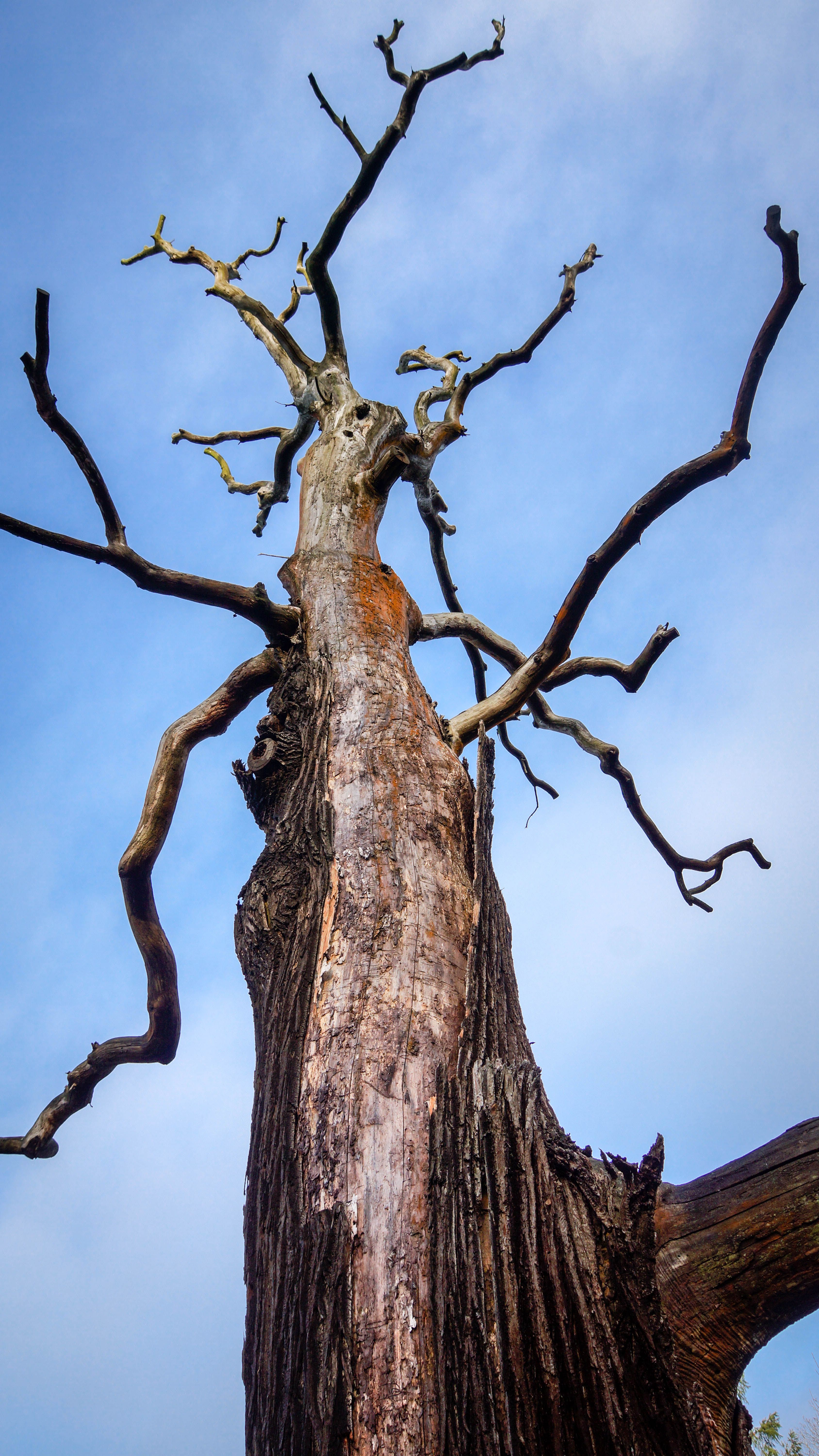 Hajo Arbor Photos, Download The BEST Free Hajo Arbor Stock Photos & HD ...