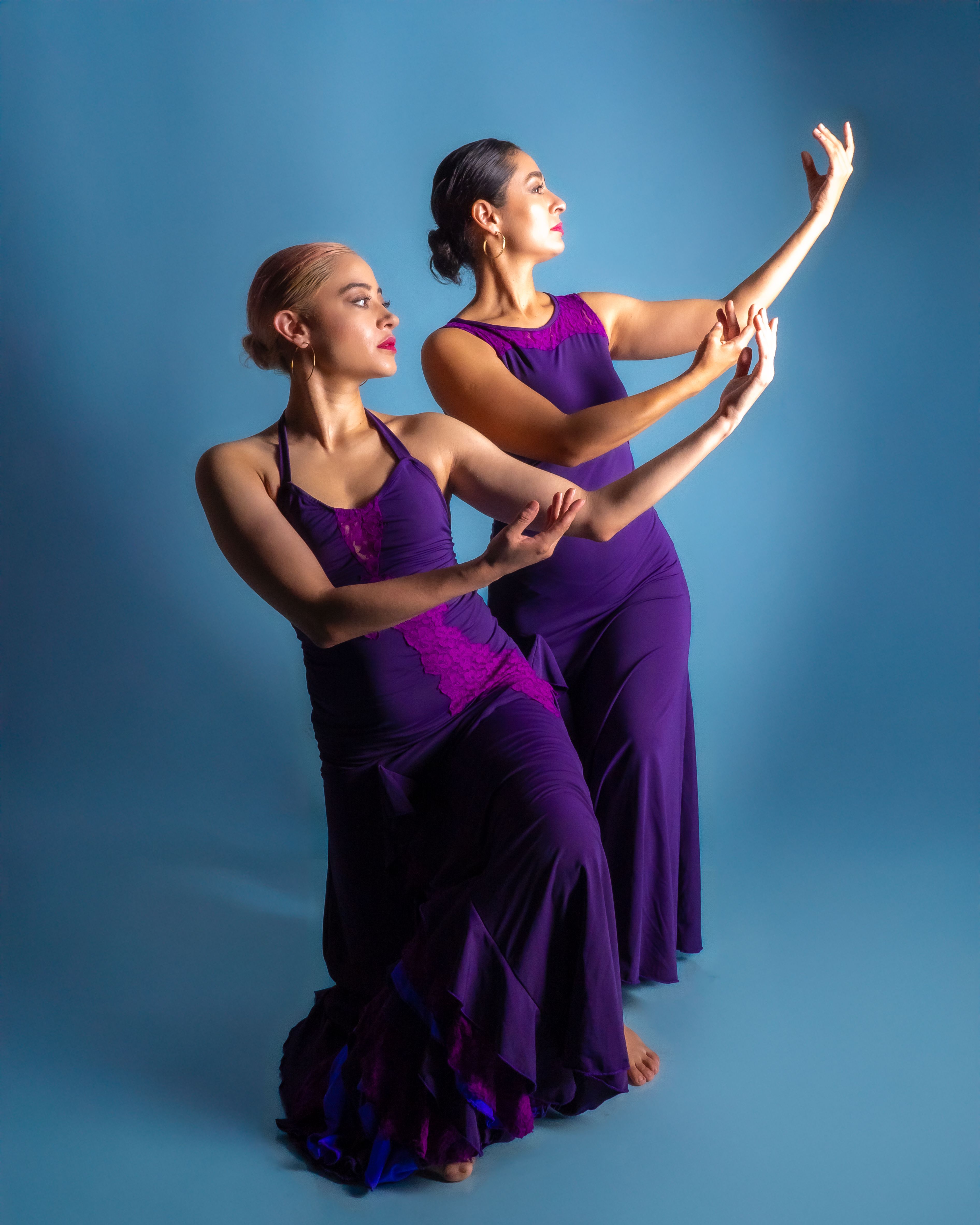 Purple Gowns Photos Download The Best Free Purple Gowns Stock Photos