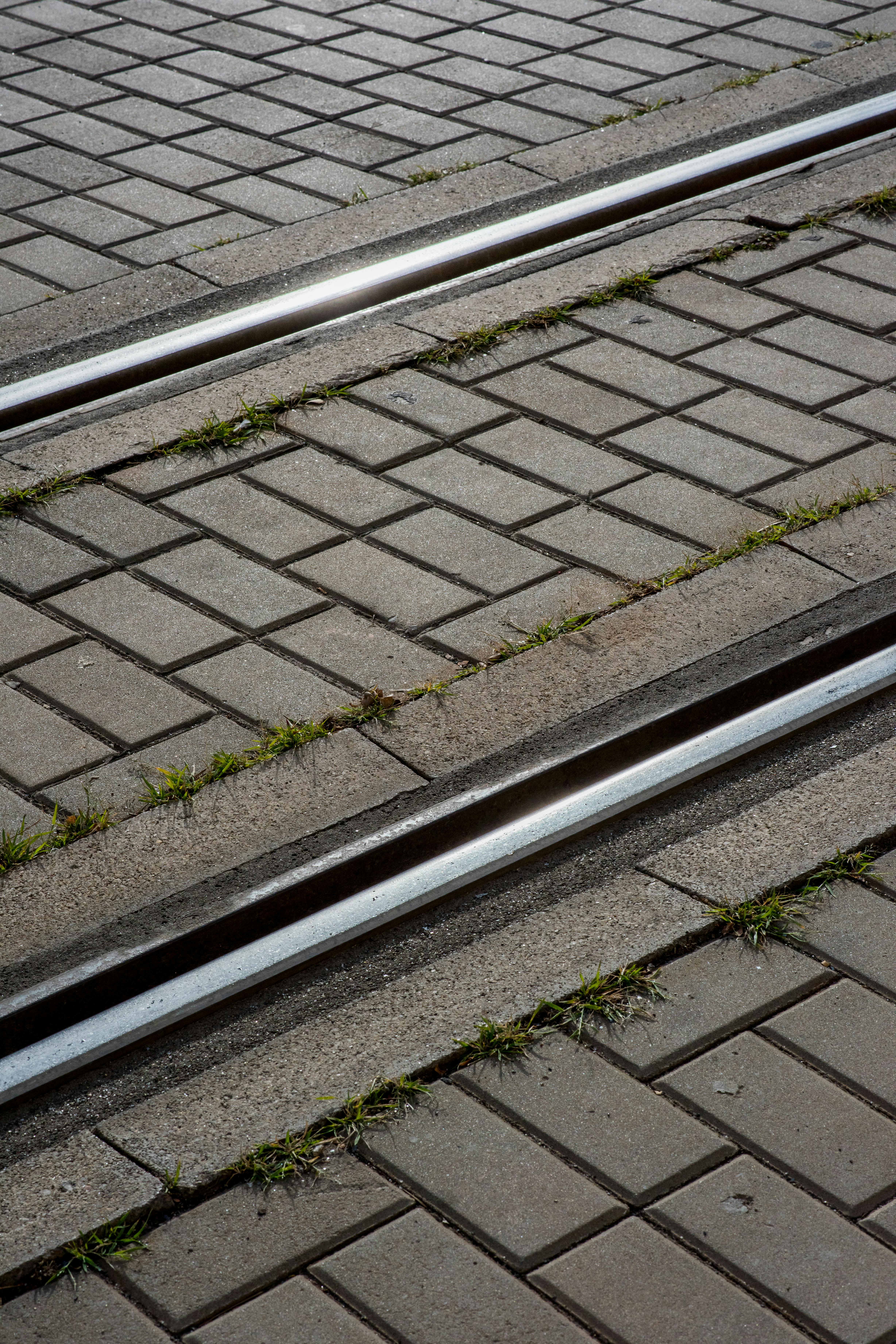 Close-up of Urban Tram Tracks on Pavement · Free Stock Photo