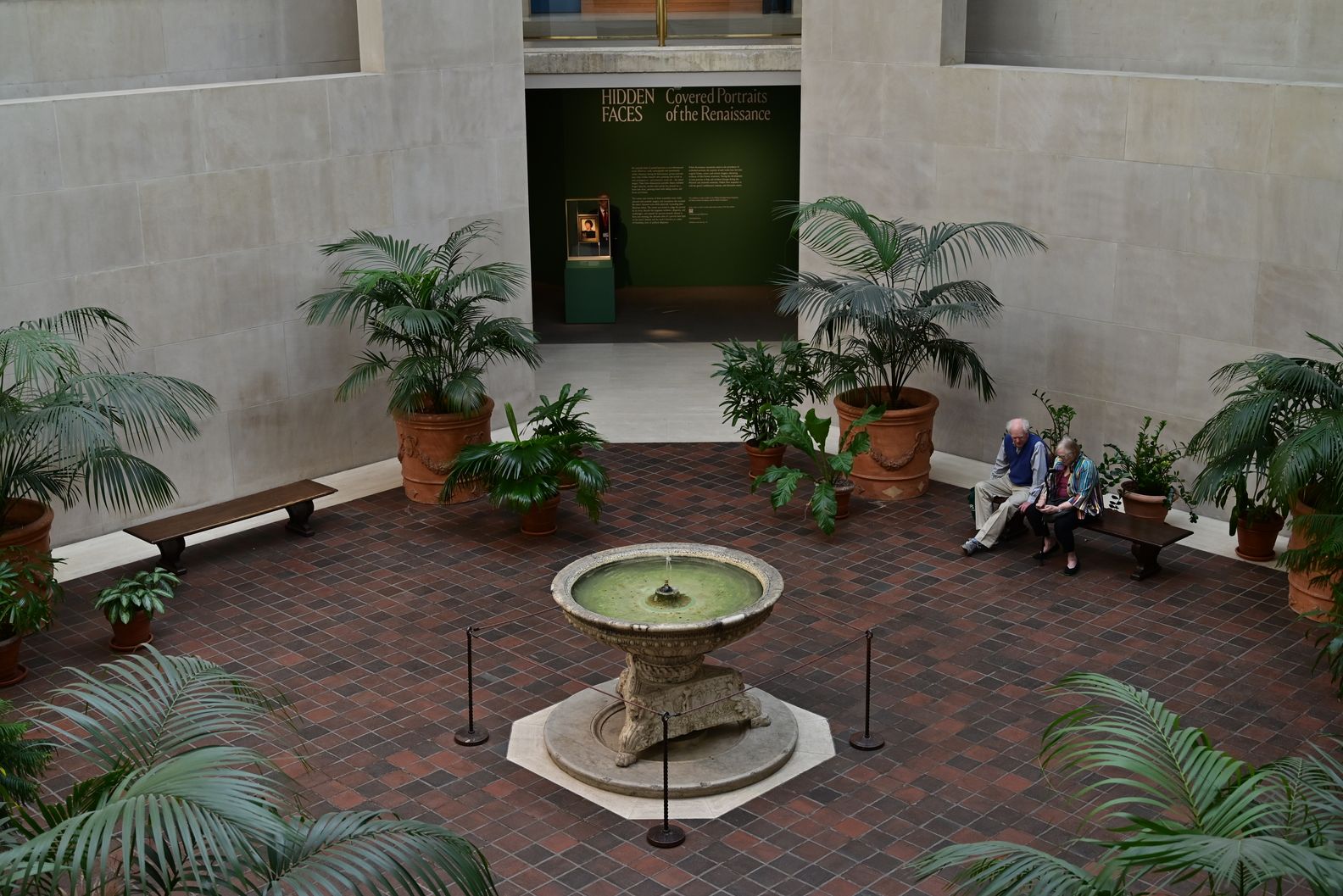 Indoor Atrium Garden Ideas for Bright, Healthy Plants