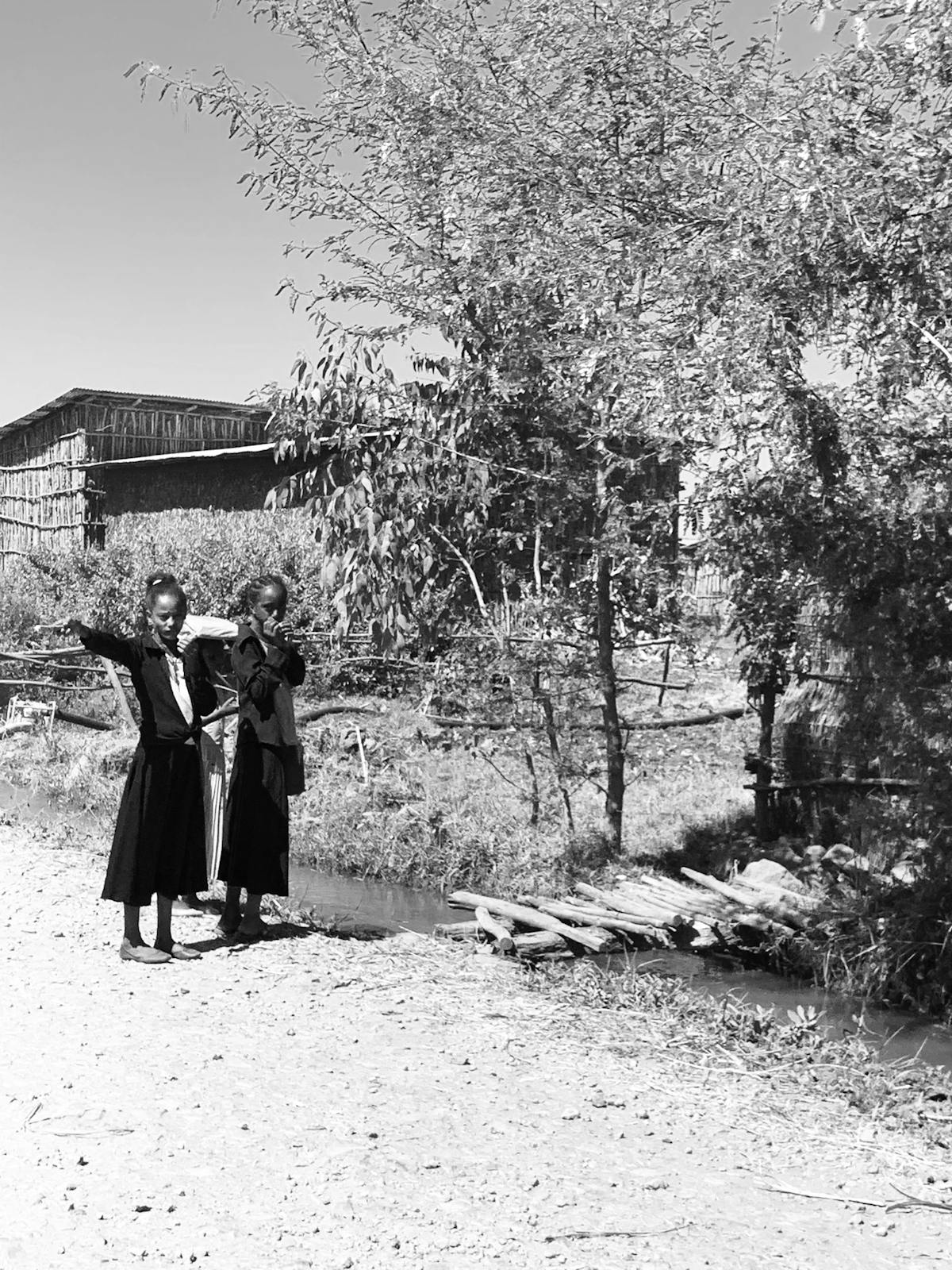 Ethiopian Girls Photos, Download The BEST Free Ethiopian Girls Stock ...